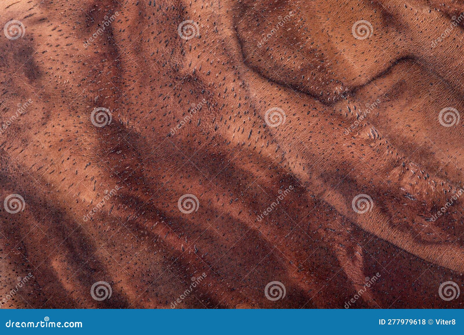 Walnut Natural Wood Texture Stock Photo - Image of hardwood, closeup ...