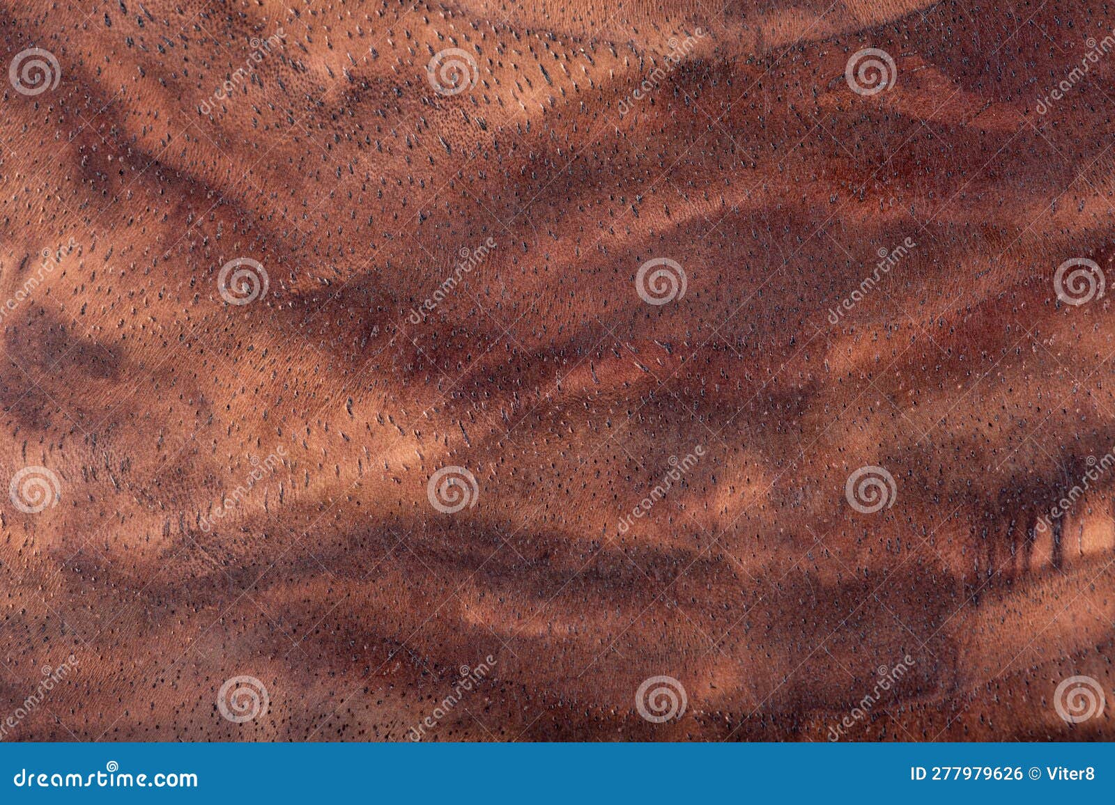 Walnut Natural Wood Texture Stock Photo - Image of abstract, structure ...