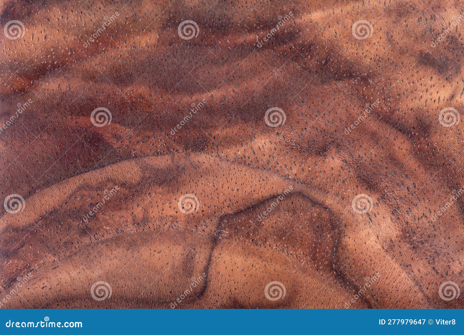 Walnut Natural Texture, Texture Elements, Texture Background.wood ...
