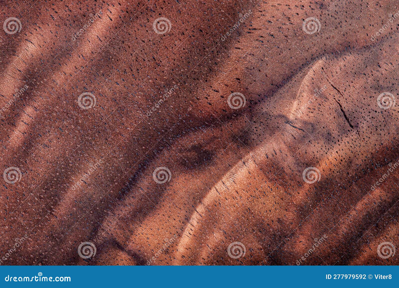 Walnut Natural Texture, Texture Elements, Texture Background.wood ...