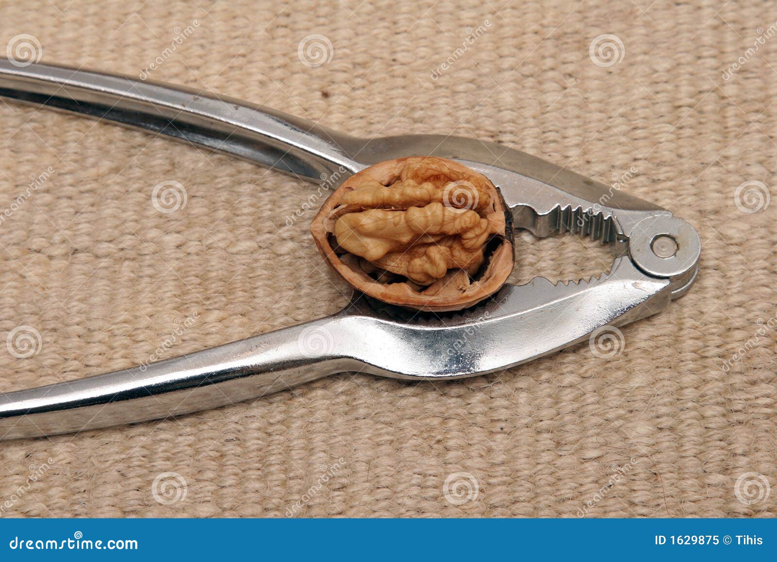 Walnut in a Nutcracker stock image. Image of opener, delicious - 1629875