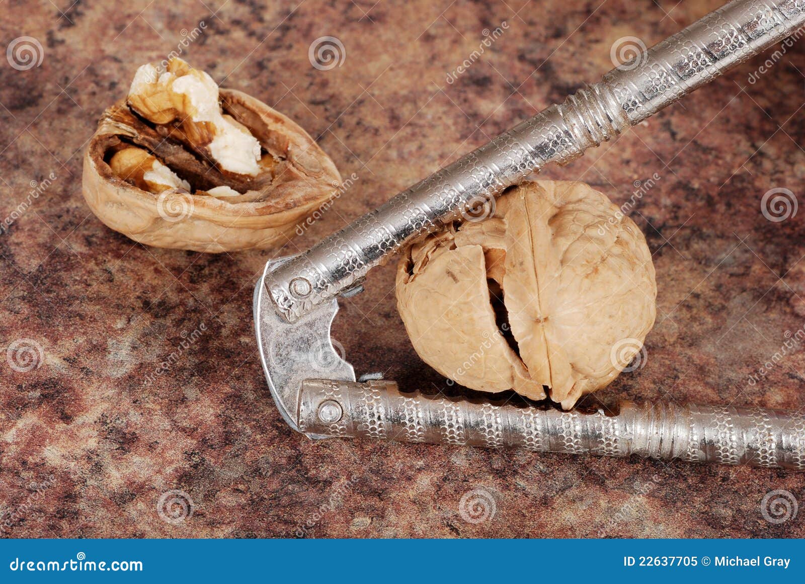 Walnut and nutcracker stock image. Image of healthy, cracking - 22637705