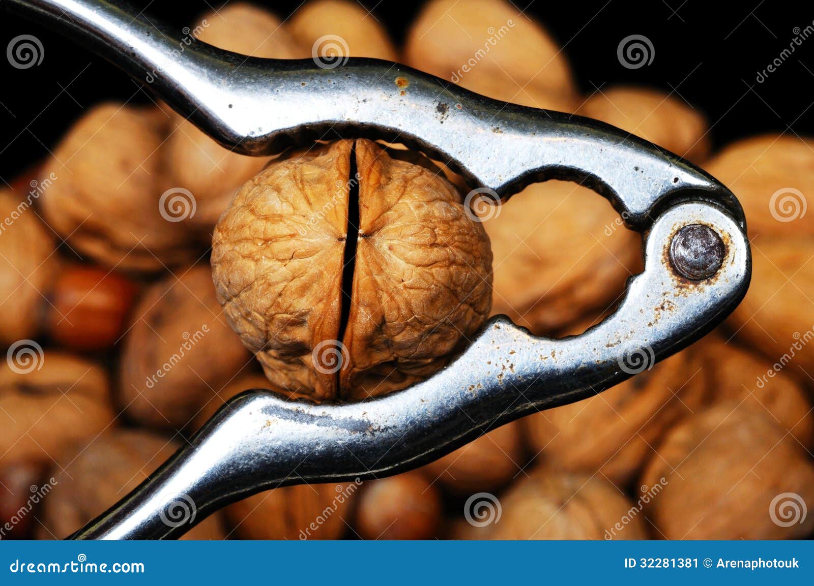 Walnut in a nutcracker, stock image. Image of hazelnut - 32281381