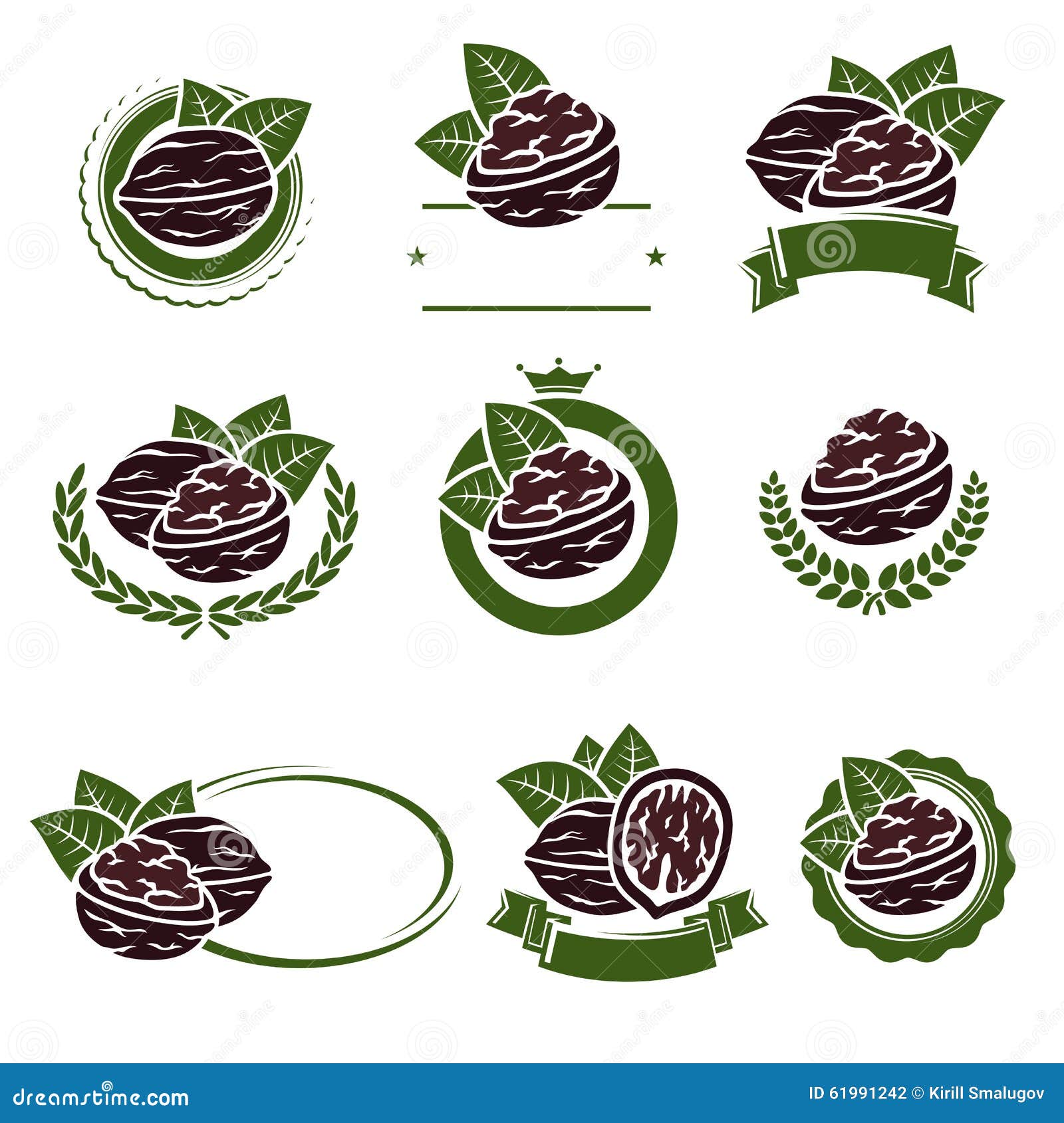 Walnut Nuts Isolated On White Background. Vector Illustration ...