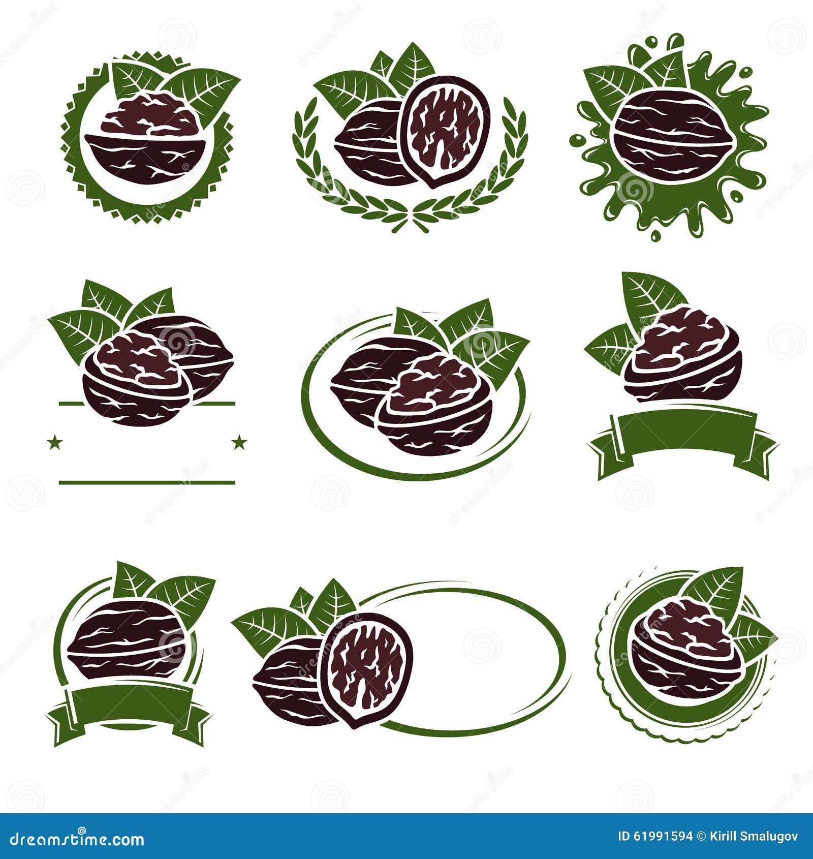 Walnut Nuts Vector Illustration | CartoonDealer.com #67784952