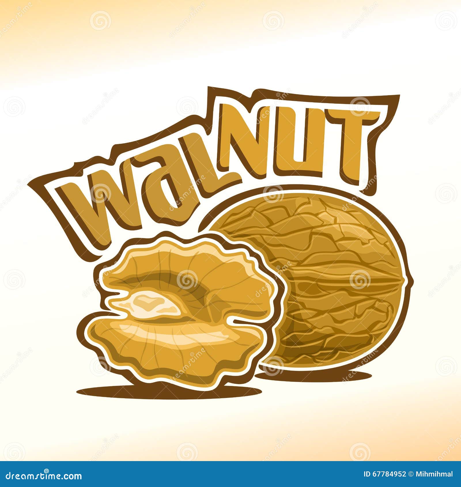 Walnut Nuts Vector Illustration | CartoonDealer.com #67784952