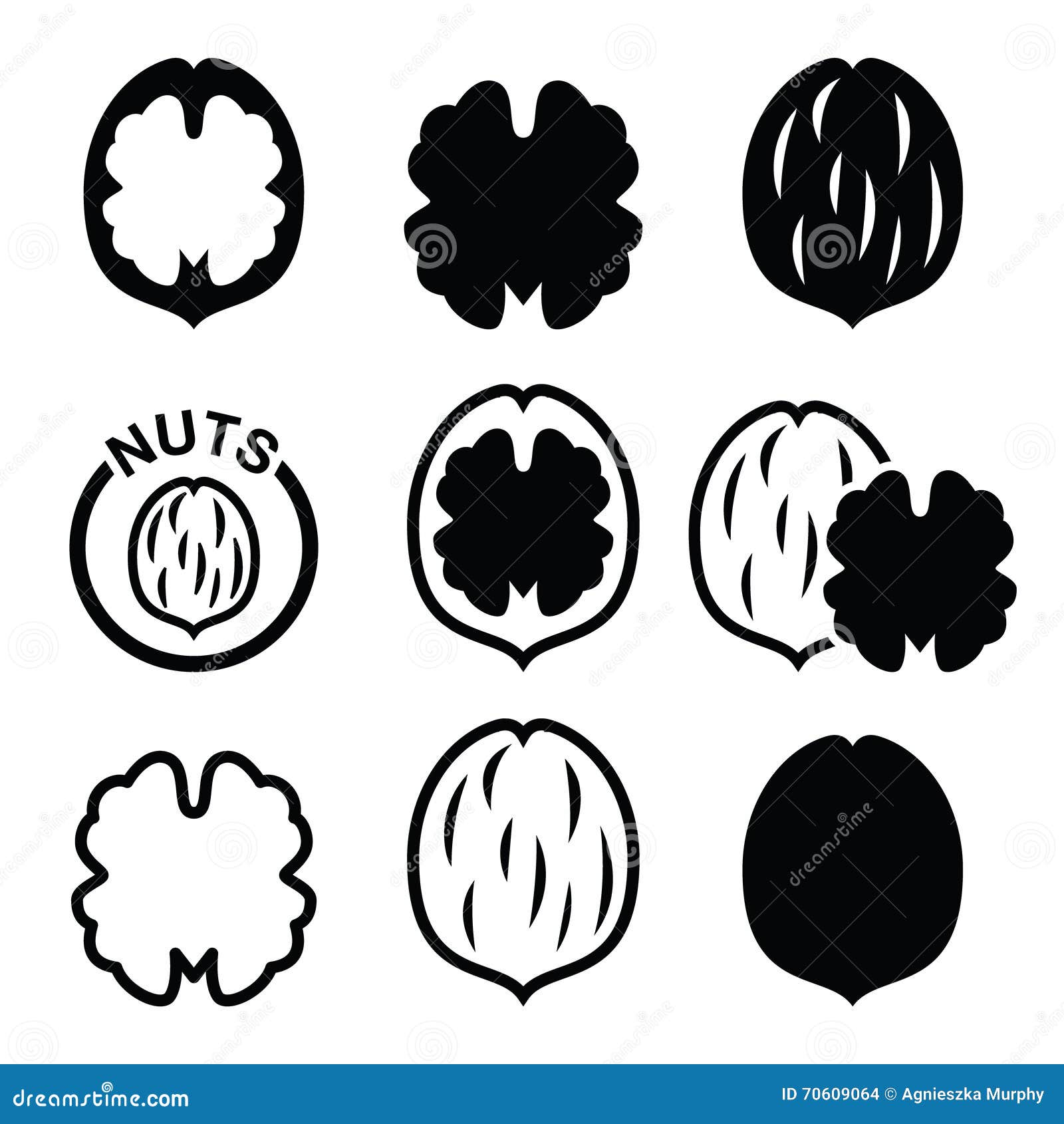 Walnut In The Nutshell. Vector Realistic Illustration Isolated ...