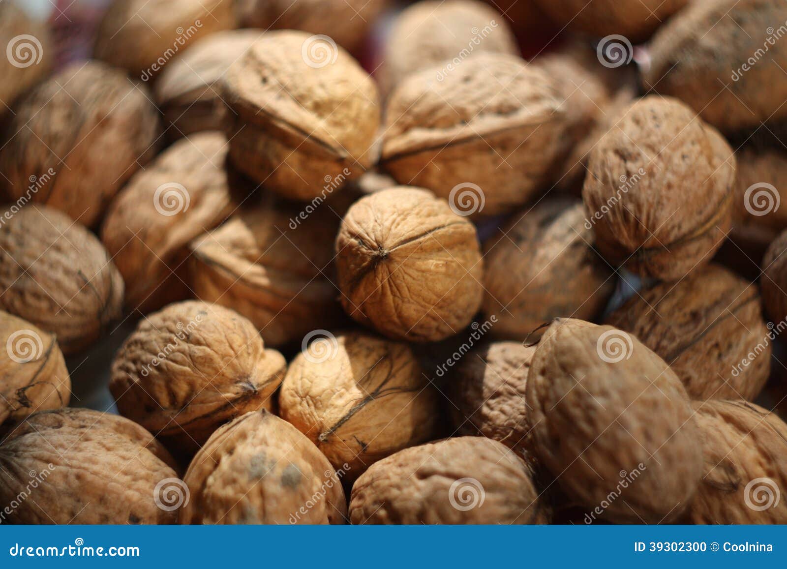 Walnut in nutshell stock photo. Image of brown, closeup - 39302300