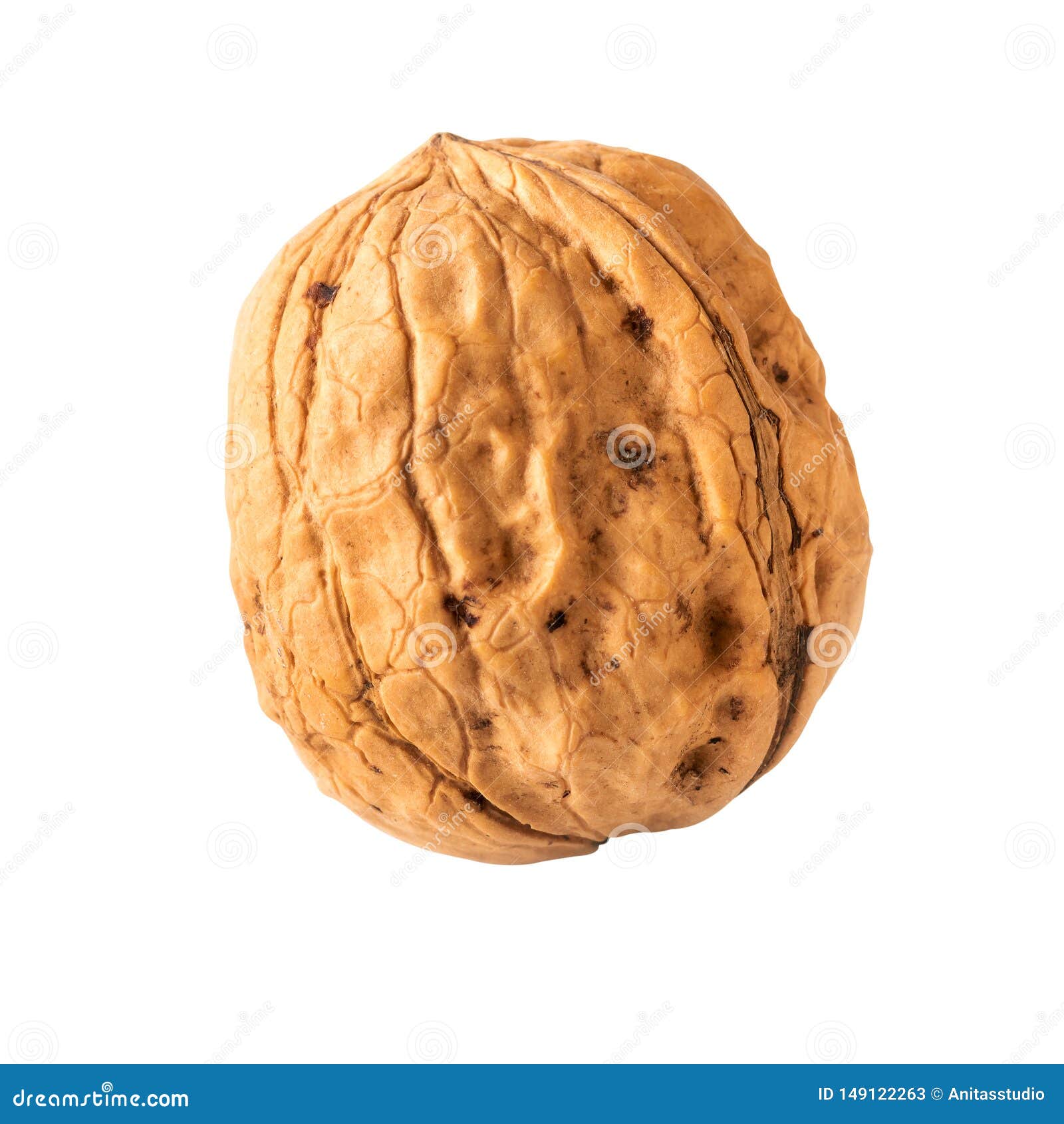 Walnut One Whole Walnut Isolated on White Clipping Path Stock Image ...