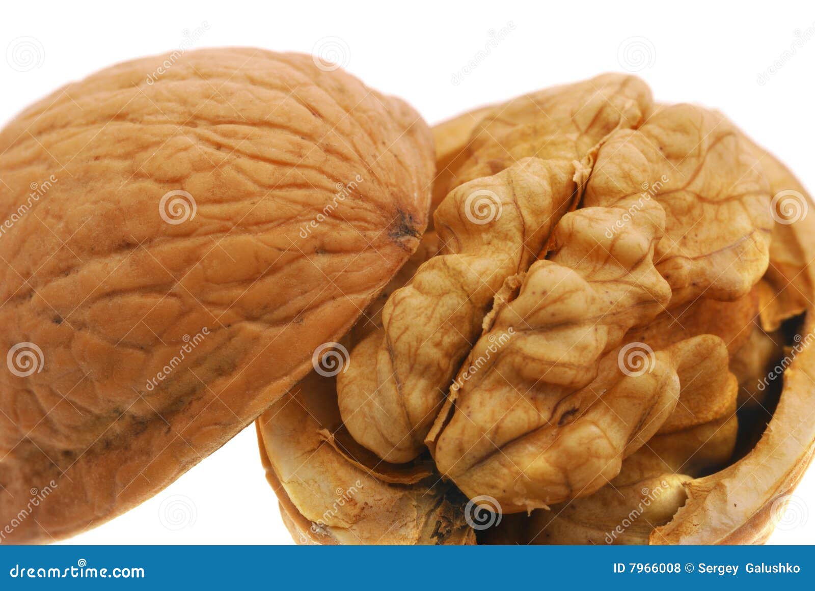 Walnut open stock photo. Image of backgrounds, season - 7966008