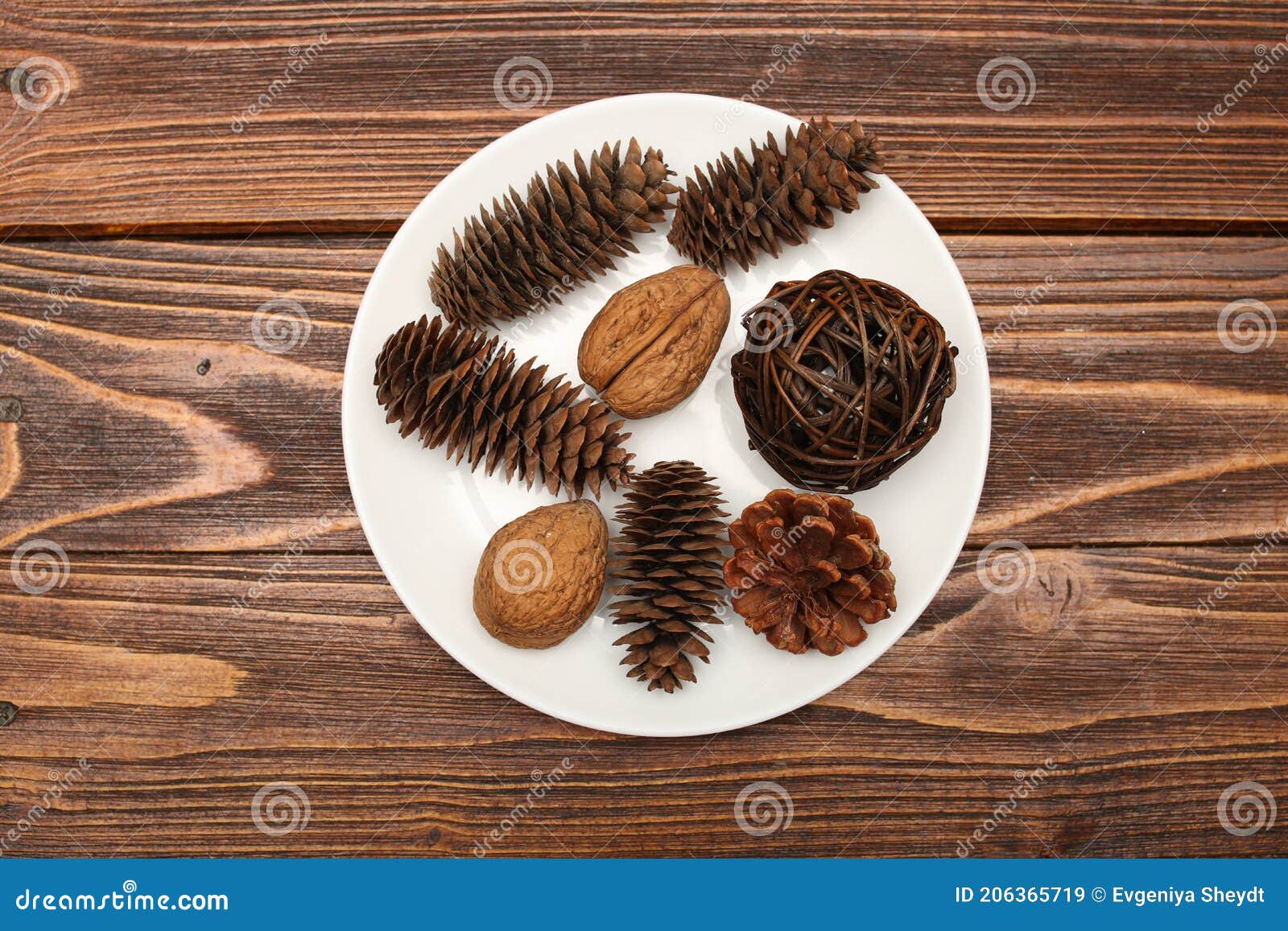 Walnut Open and Closed Close-up on White Background Texture Worm Stock ...
