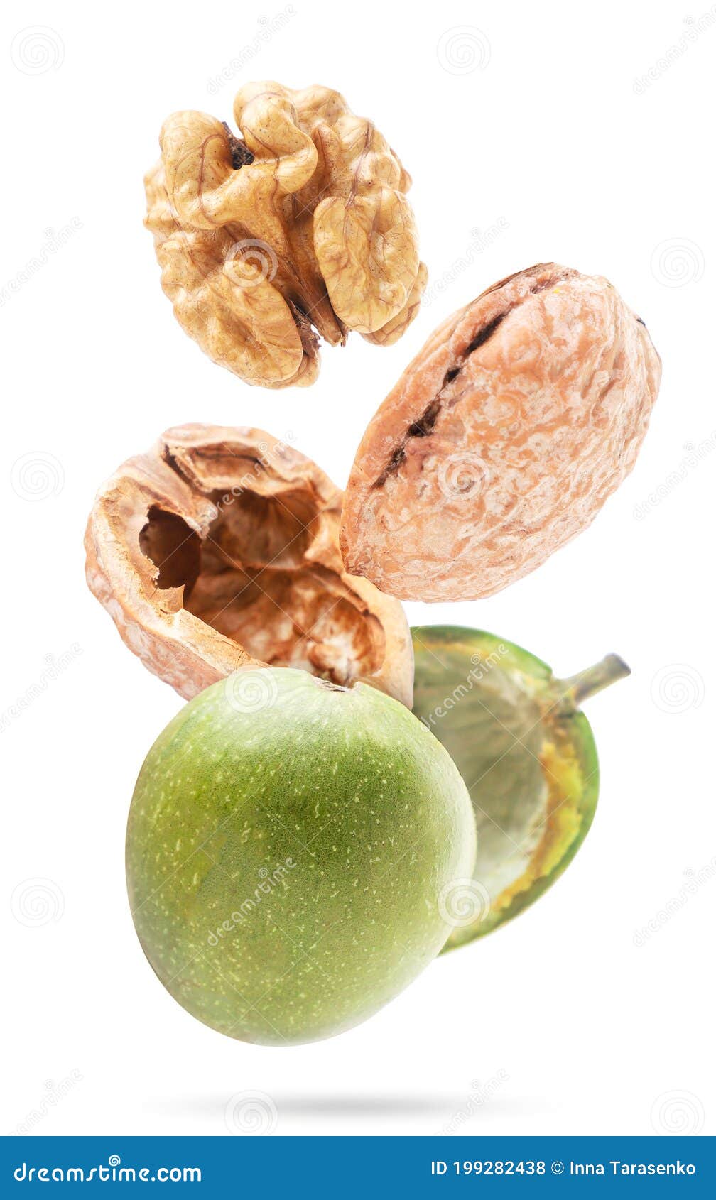 Walnut Open Falls on a White Background. Isolated Levitating Nut Stock ...