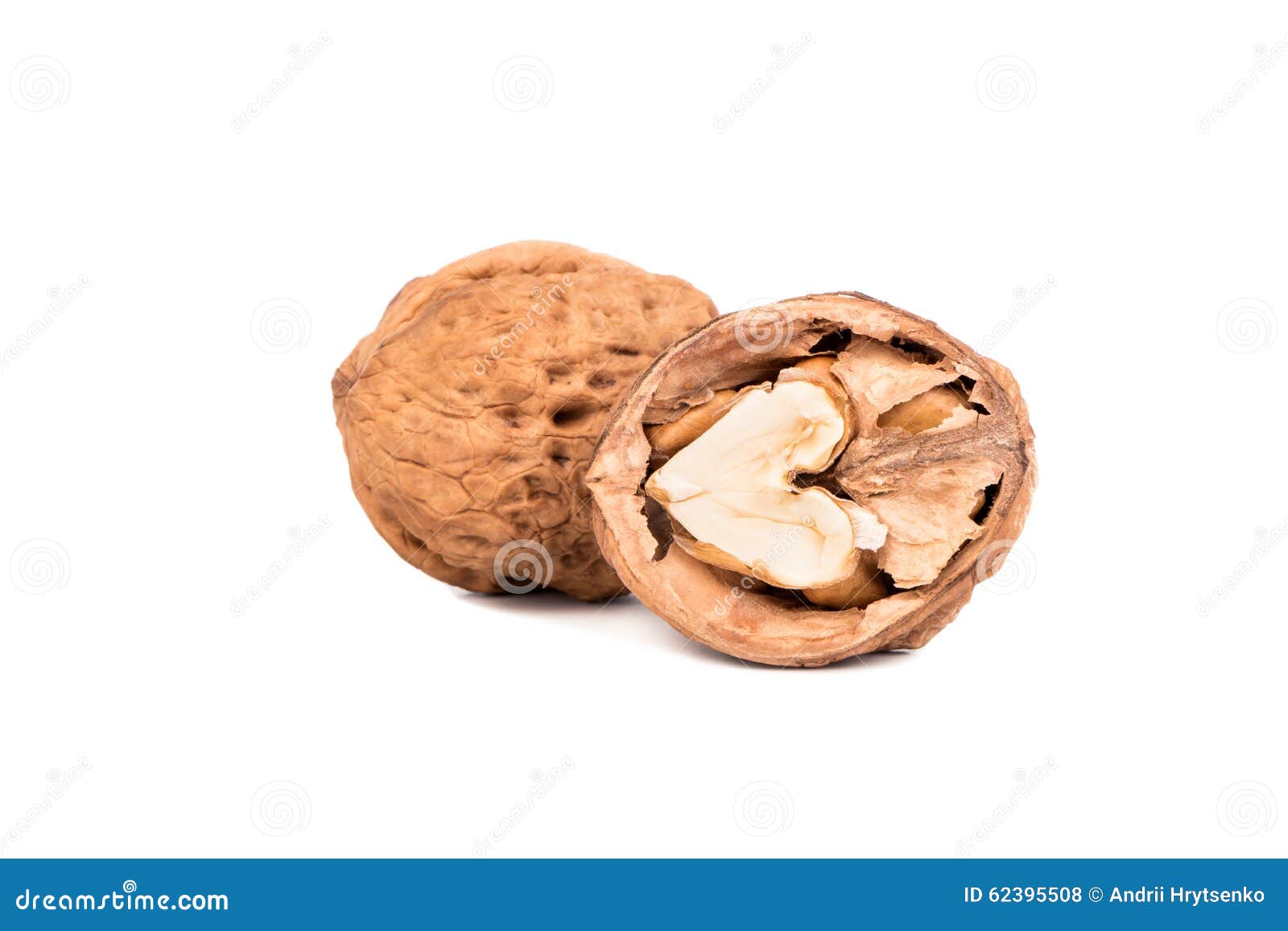Walnut stock photo. Image of isolated, fruits, plant - 62395508