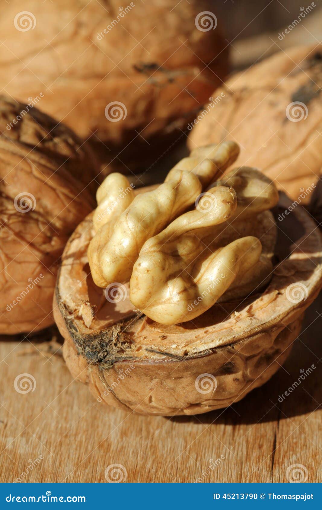 Walnut stock photo. Image of maturity, flora, brain, nutrition - 45213790