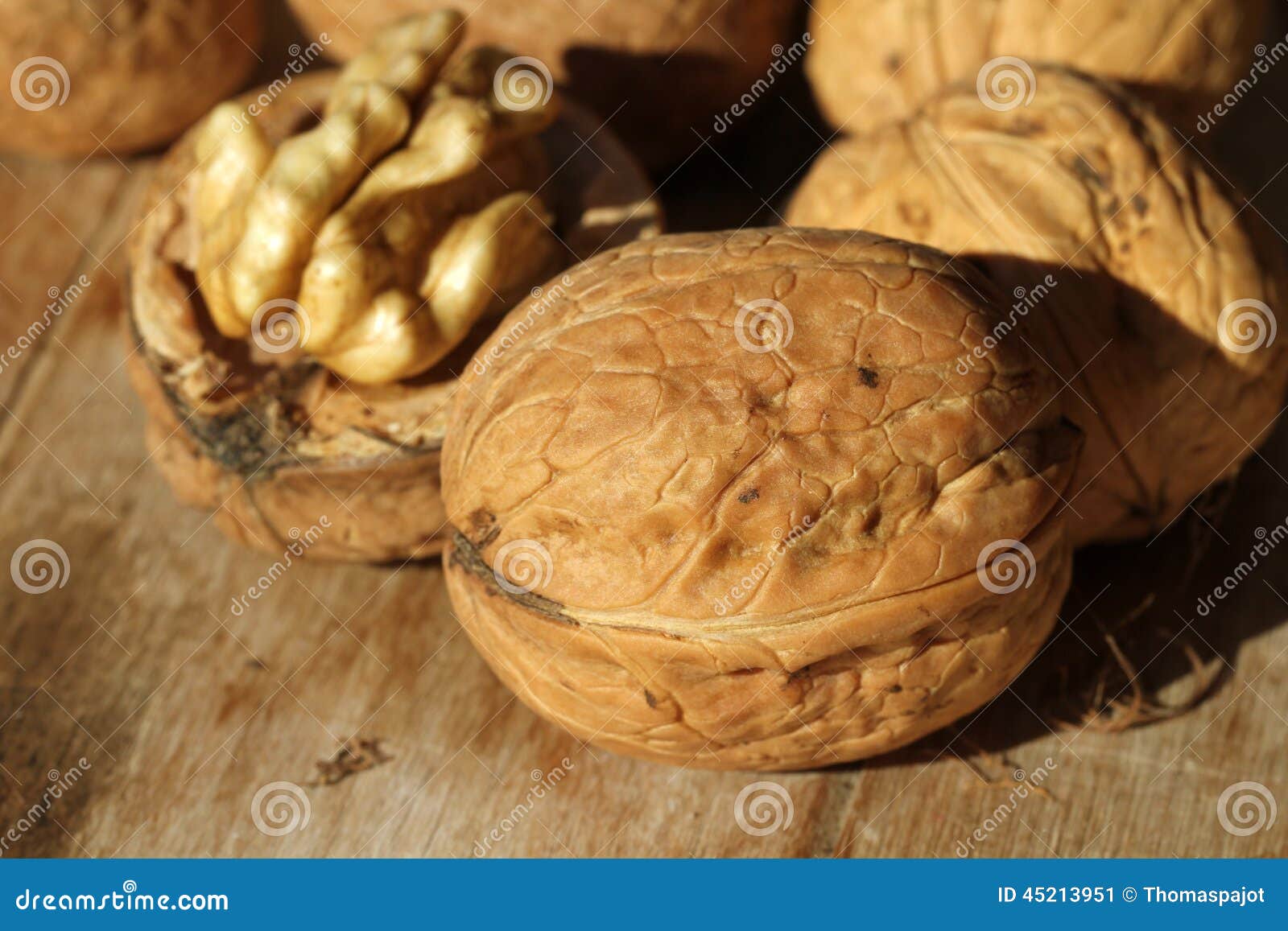 Walnut stock image. Image of biological, flora, nutrition - 45213951