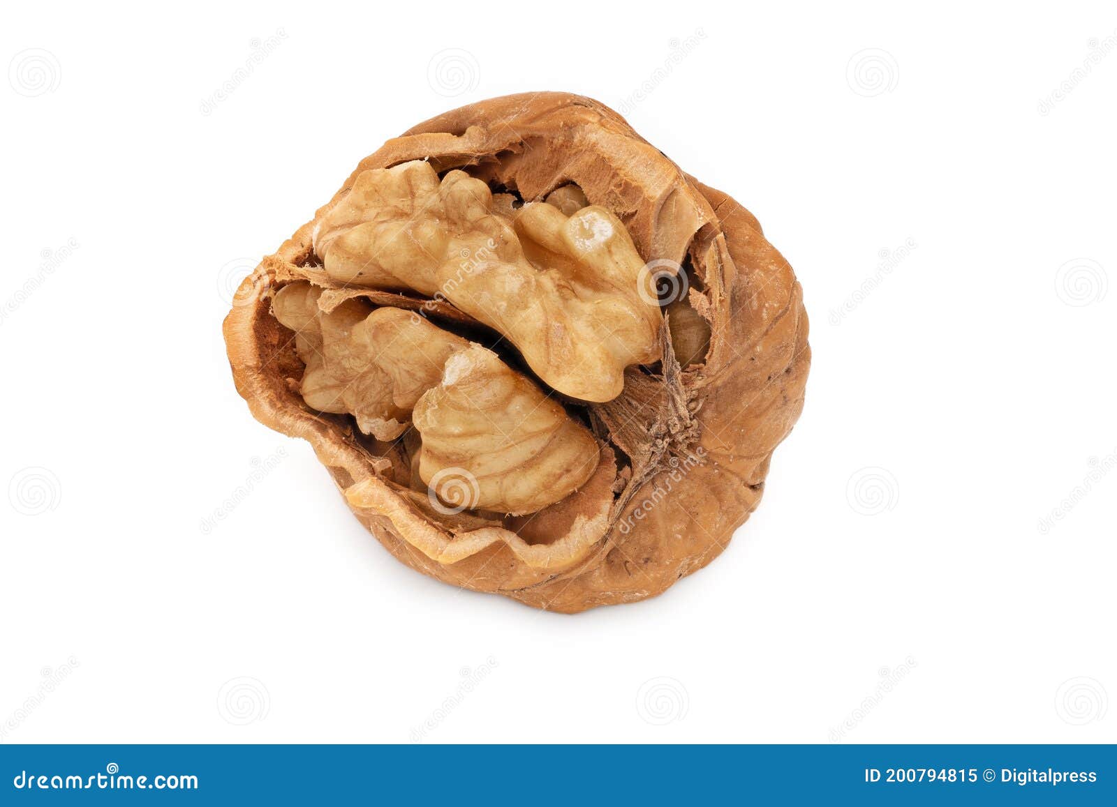 Walnut opened stock image. Image of close, vegetarian - 200794815