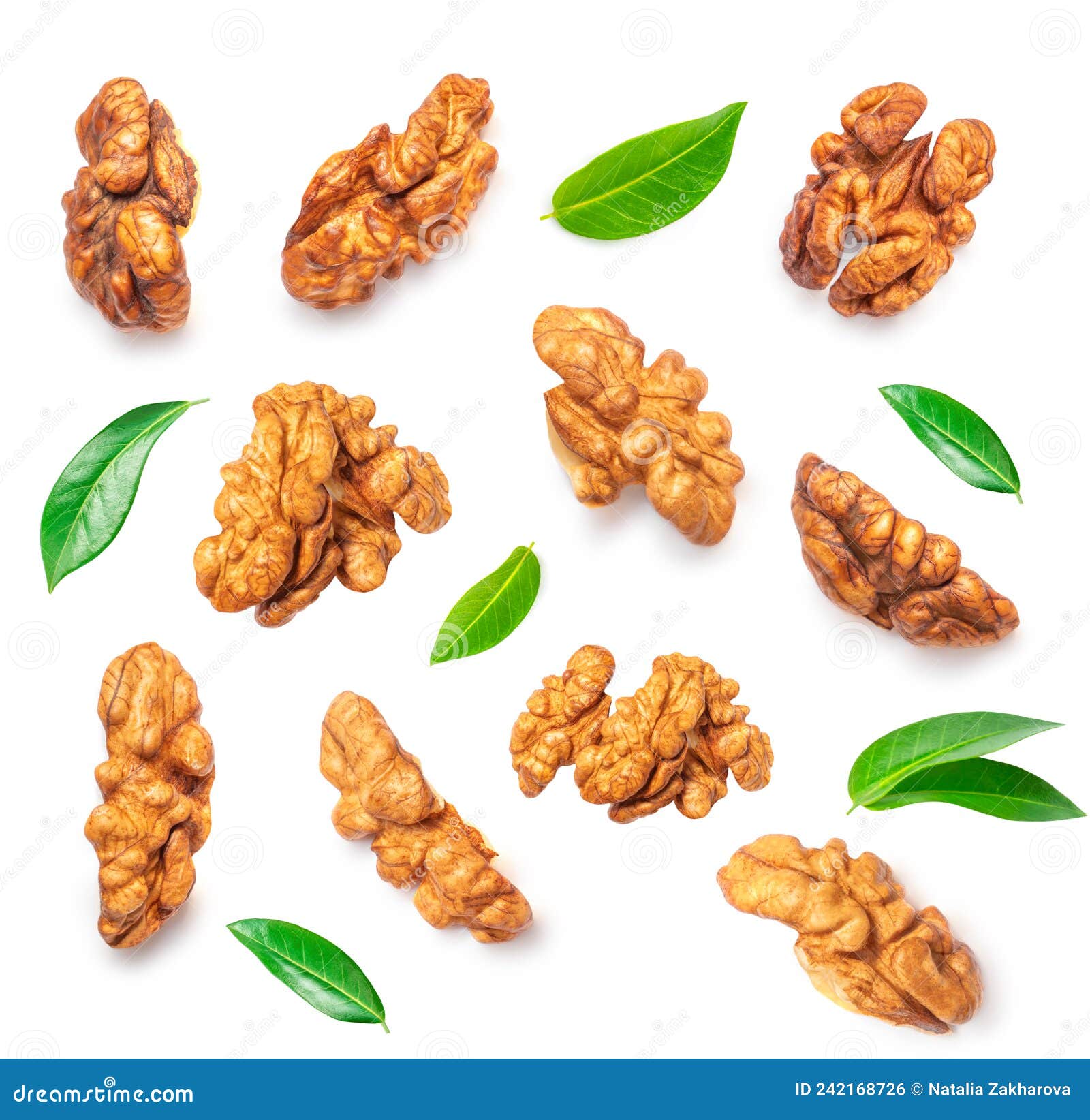 Walnut Pattern. Walnut Kernel Nut Isolated on White Background ...