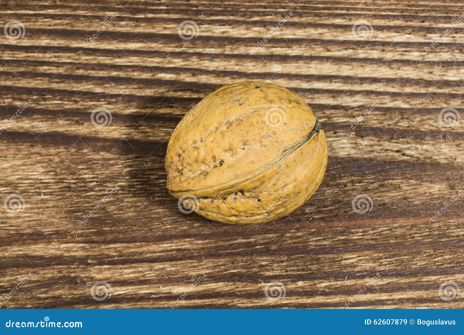 Walnut. stock image. Image of walnut, fruit, coarse, food - 62607879