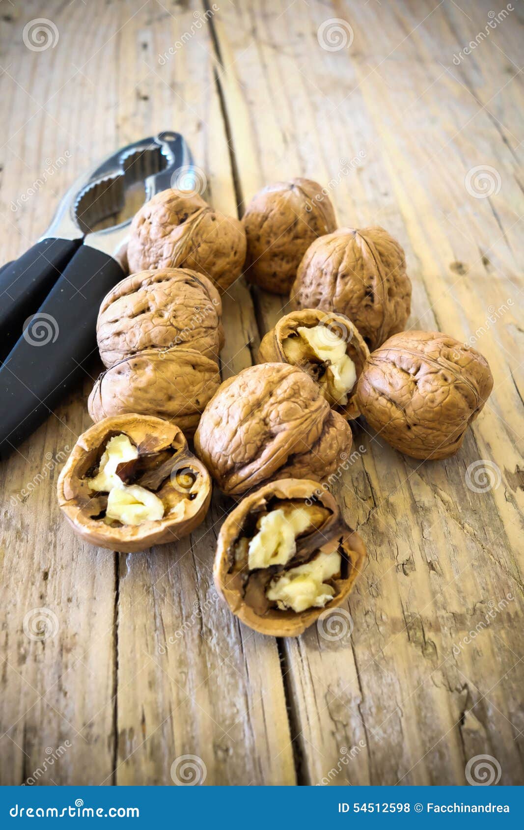 Walnut stock photo. Image of biological, food, walnut - 54512598