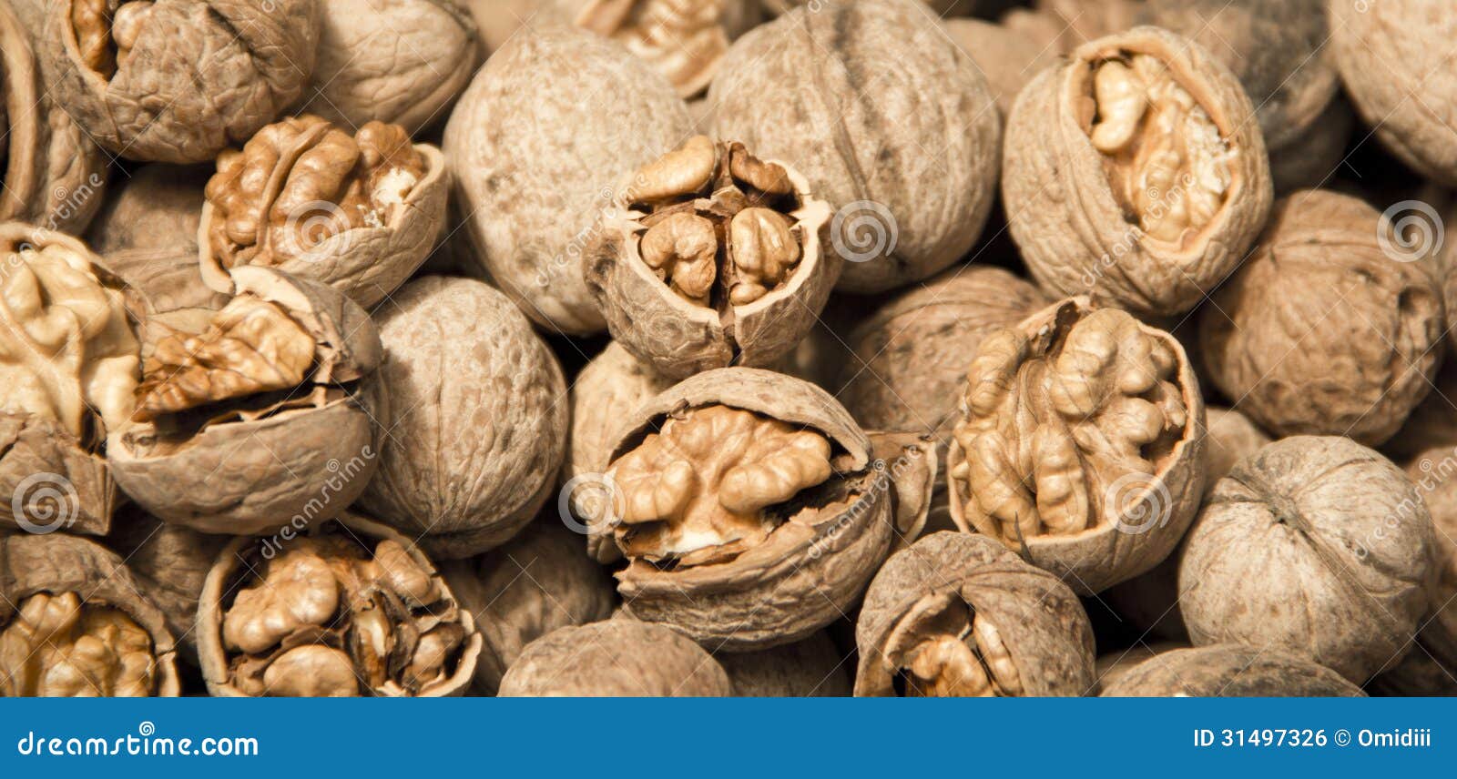 Walnut stock photo. Image of walnuts, macro, ingredients - 31497326