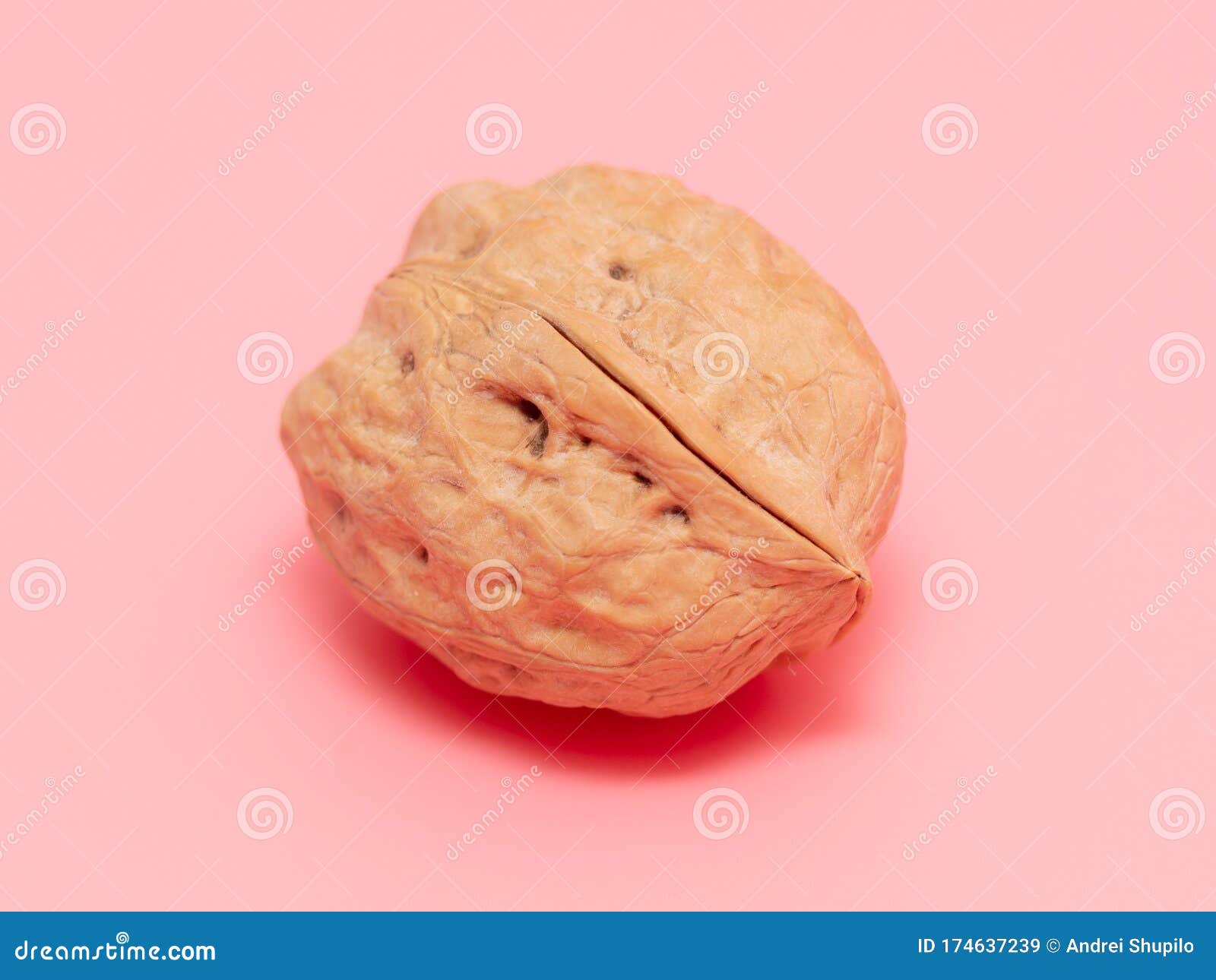 Walnut on a Pink Background Stock Image - Image of healthy, closeup ...