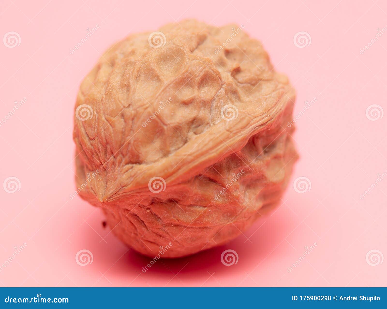 Walnut on a Pink Background Stock Photo - Image of closeup, dried ...