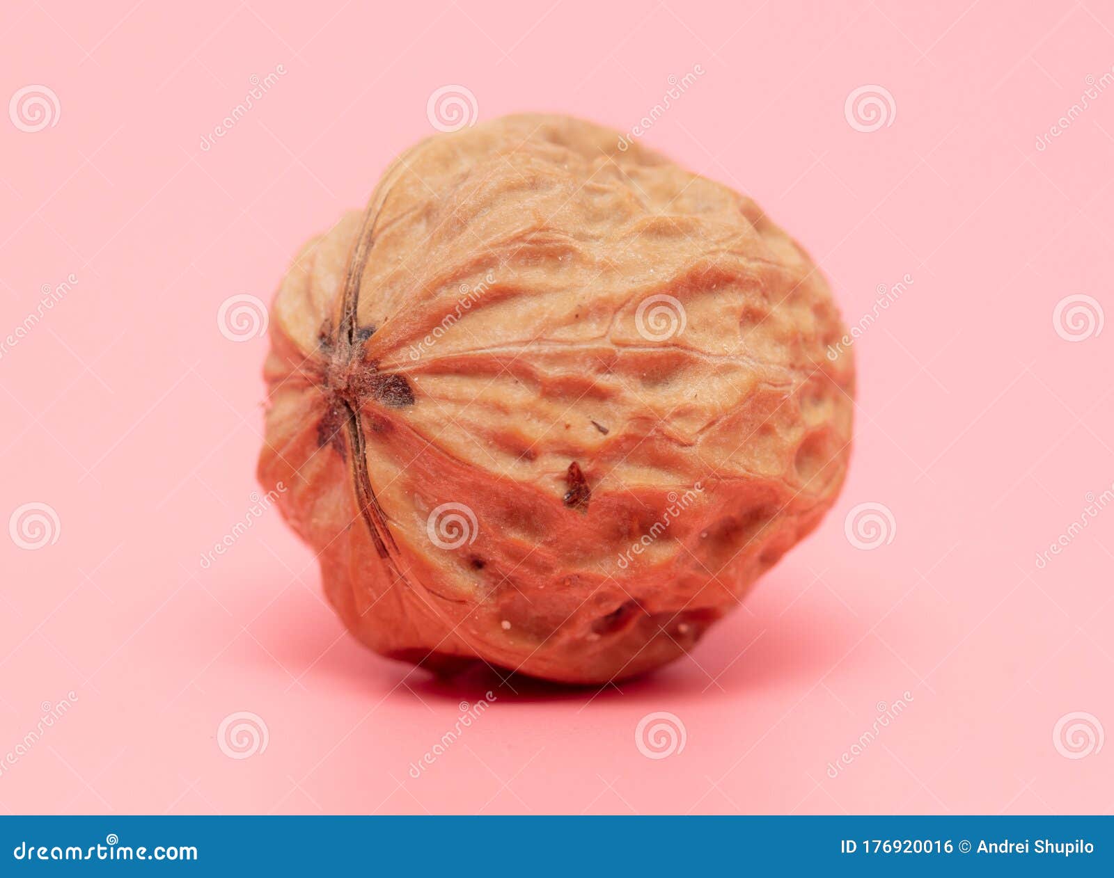 Walnut on a Pink Background Stock Photo - Image of nutshell, isolated ...
