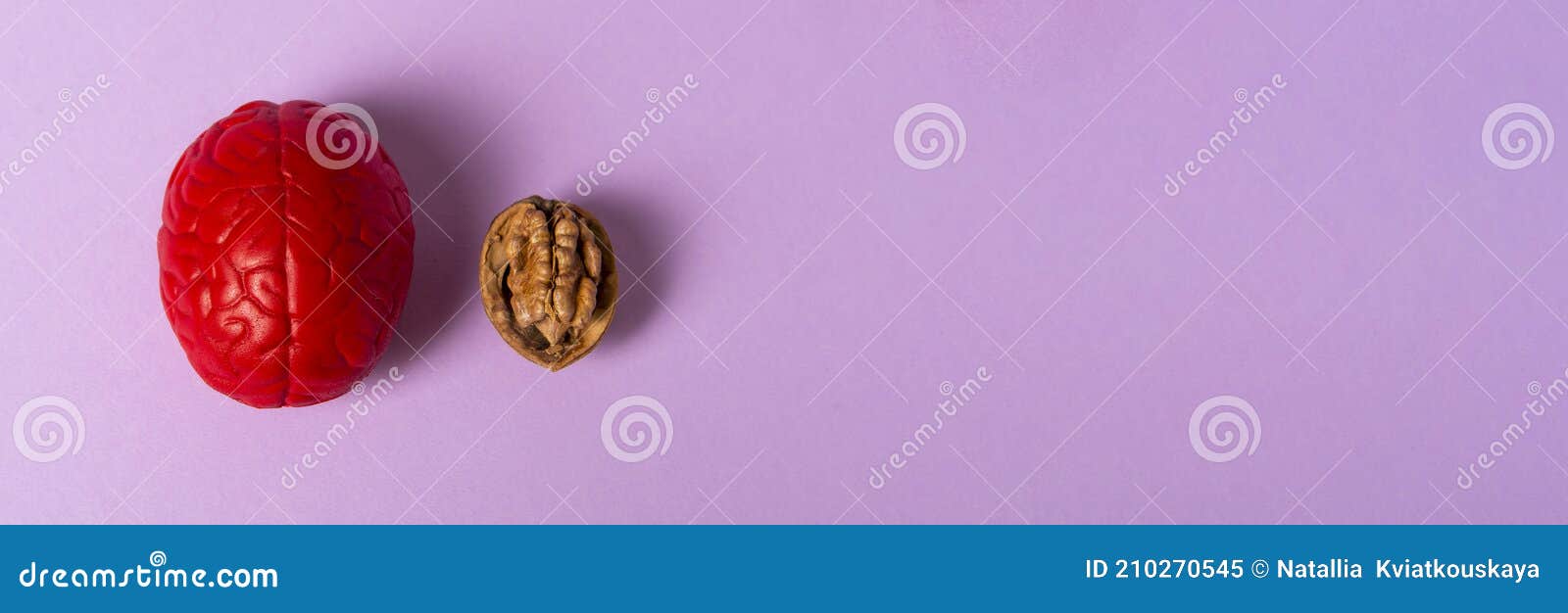 Walnut and Red Brain. the Human Brain is Shaped Like a Walnut Kernel ...