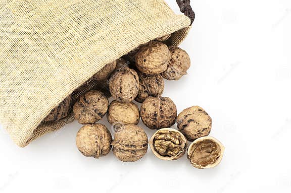 Walnut in sack stock photo. Image of background, mammal - 98806644