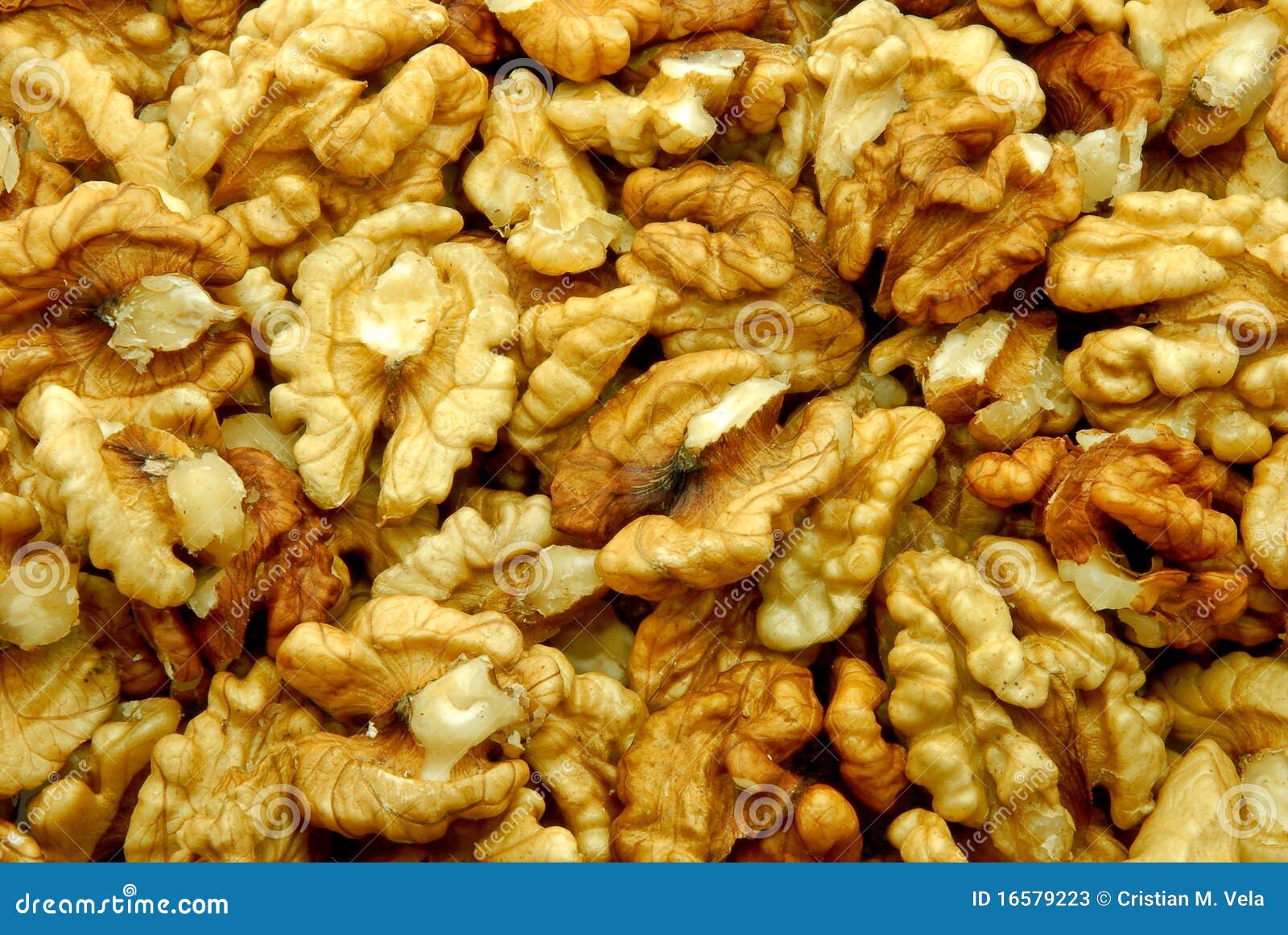 17,269 Walnut Seeds Photos - Free & Royalty-Free Stock Photos from ...