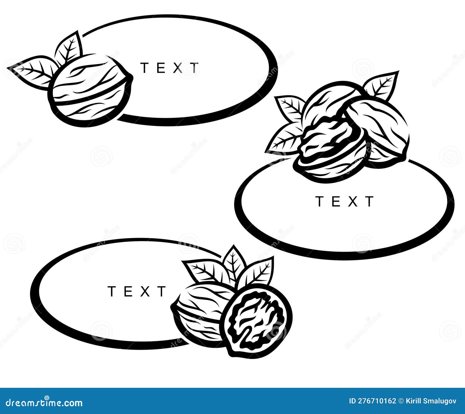 Walnut Set. Collection Icon Walnut Stock Vector - Illustration of ...