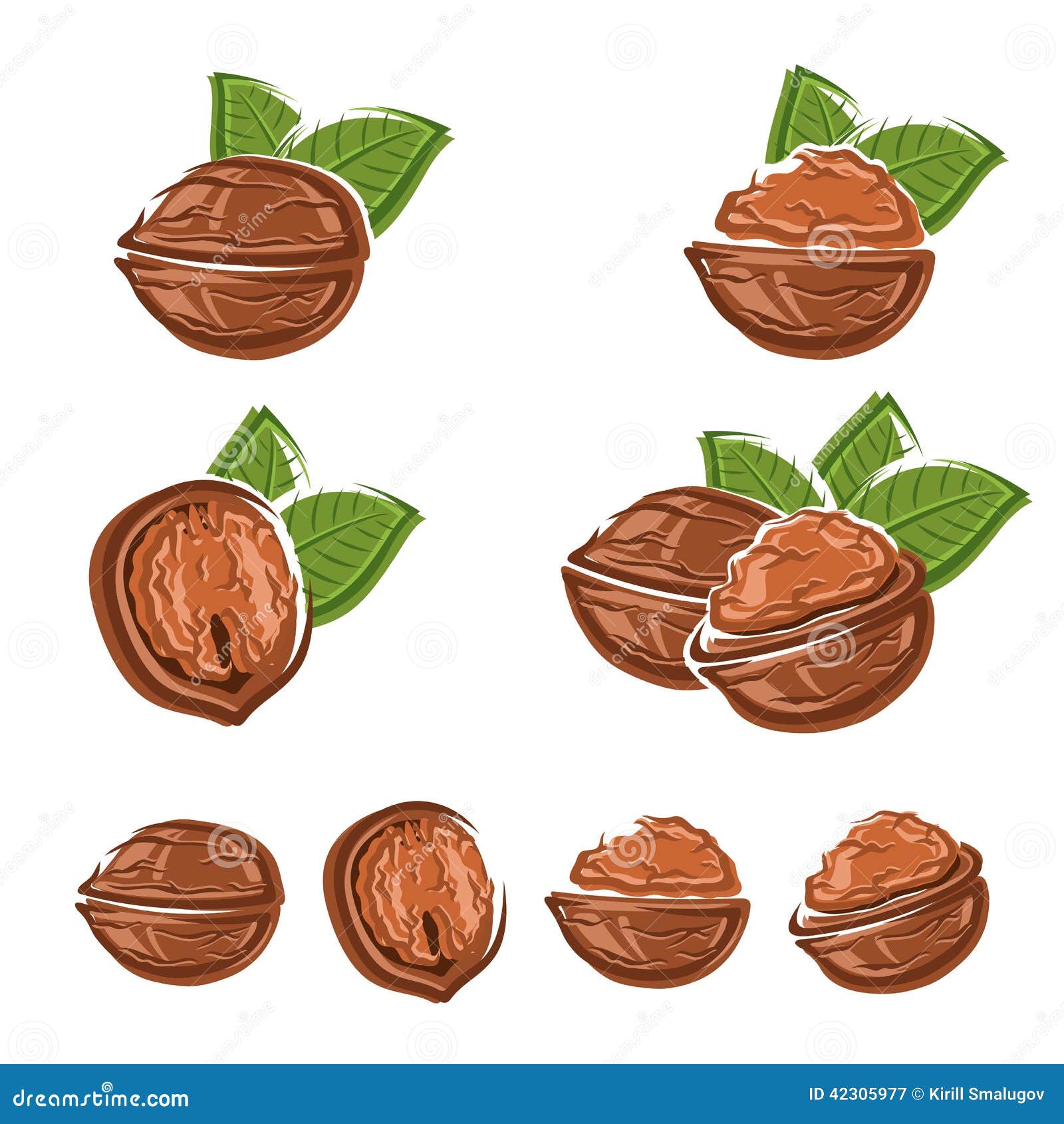 Walnut Cartoons, Illustrations & Vector Stock Images - 58901 Pictures ...