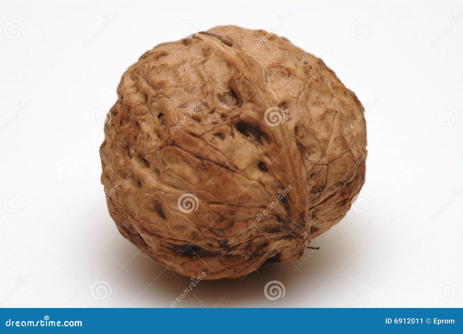 Walnut shell stock image. Image of natural, health, nature - 6912011