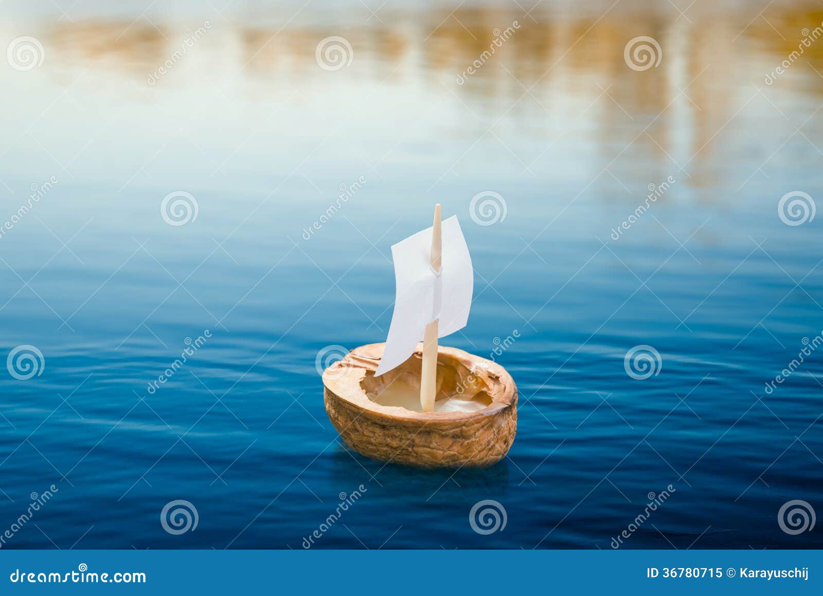 Walnut Shell Boat stock image. Image of float, lake, ocean - 36780715