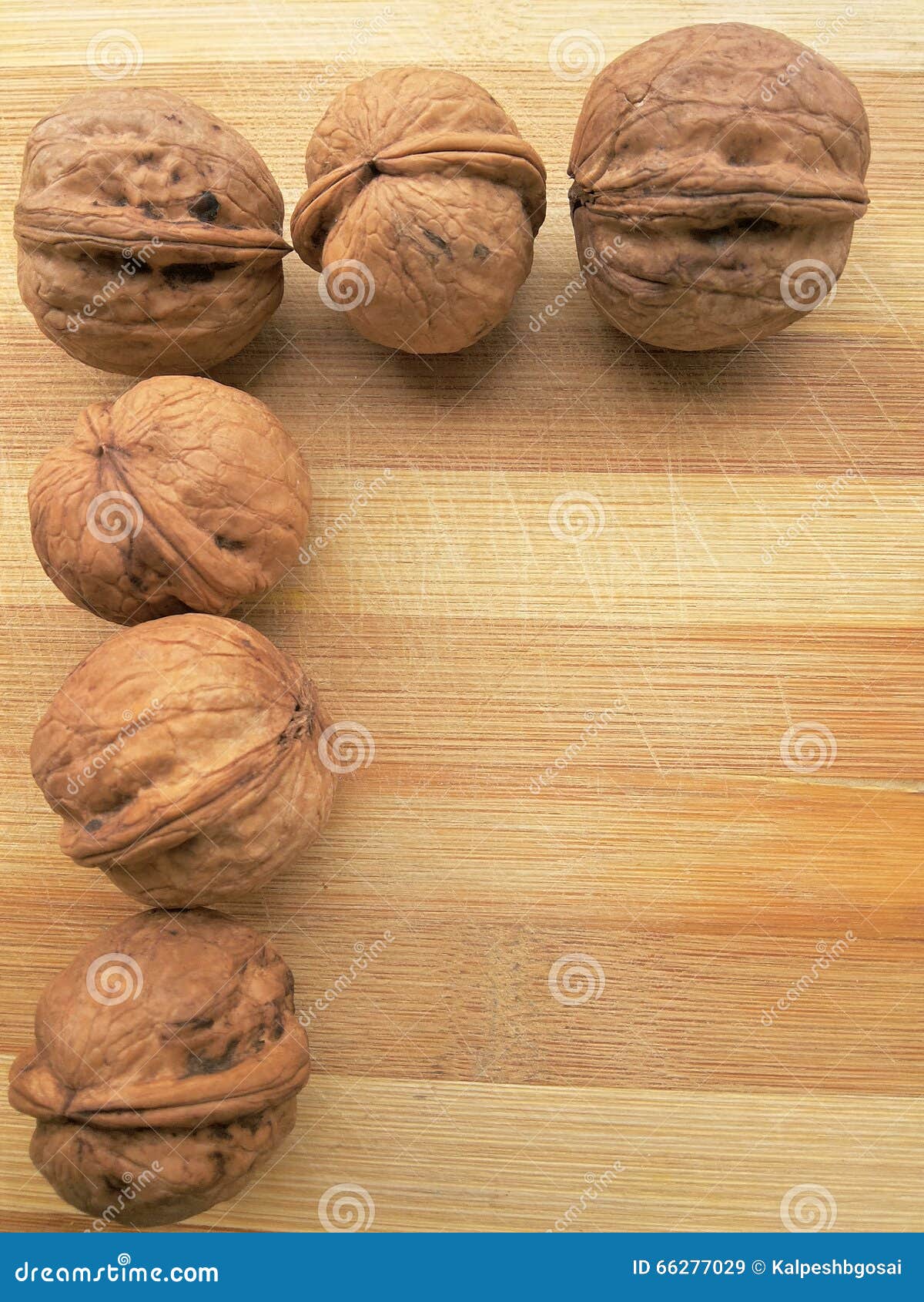 Walnut Border Stock Photography | CartoonDealer.com #1598372
