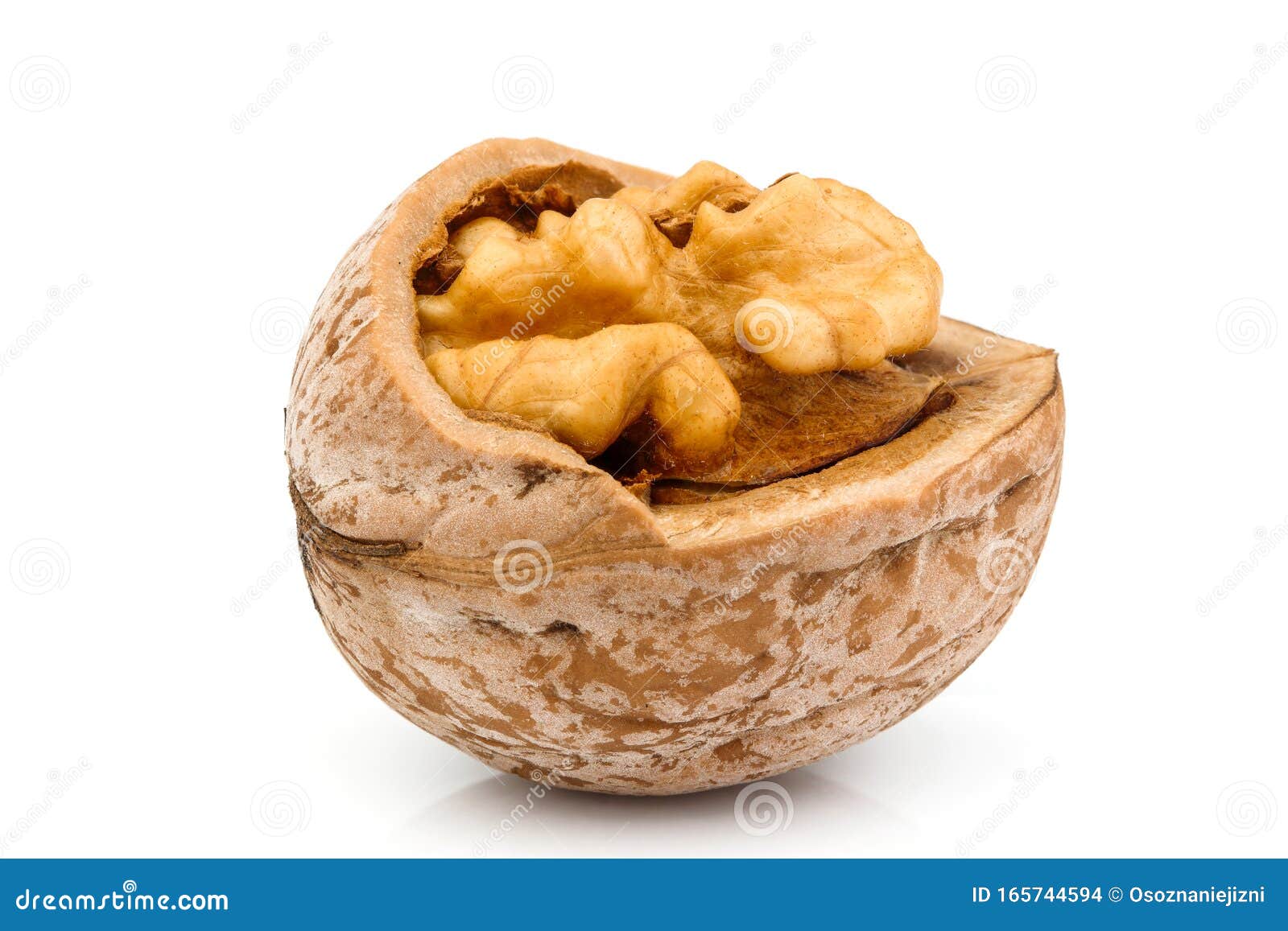 Walnut in Shell Isolated Close-up Stock Photo - Image of healthy ...