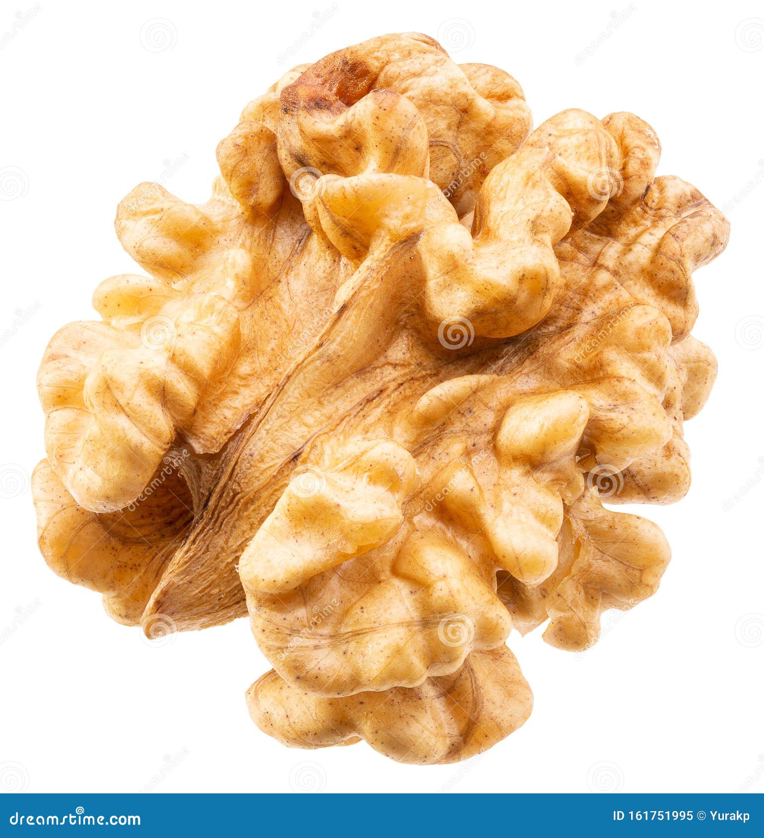 Walnut without Shell Isolated on a White Background Stock Image - Image ...