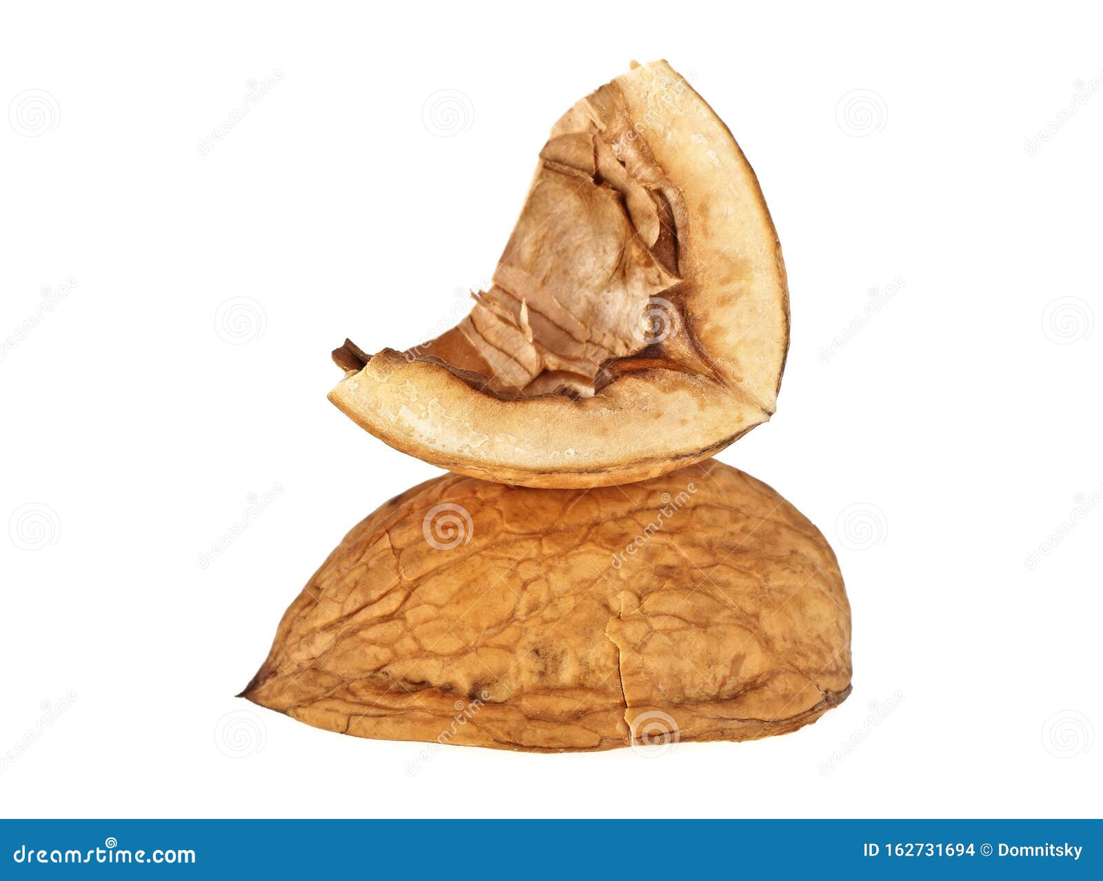 Walnut Shell Isolated on White Background Stock Photo - Image of walnut ...