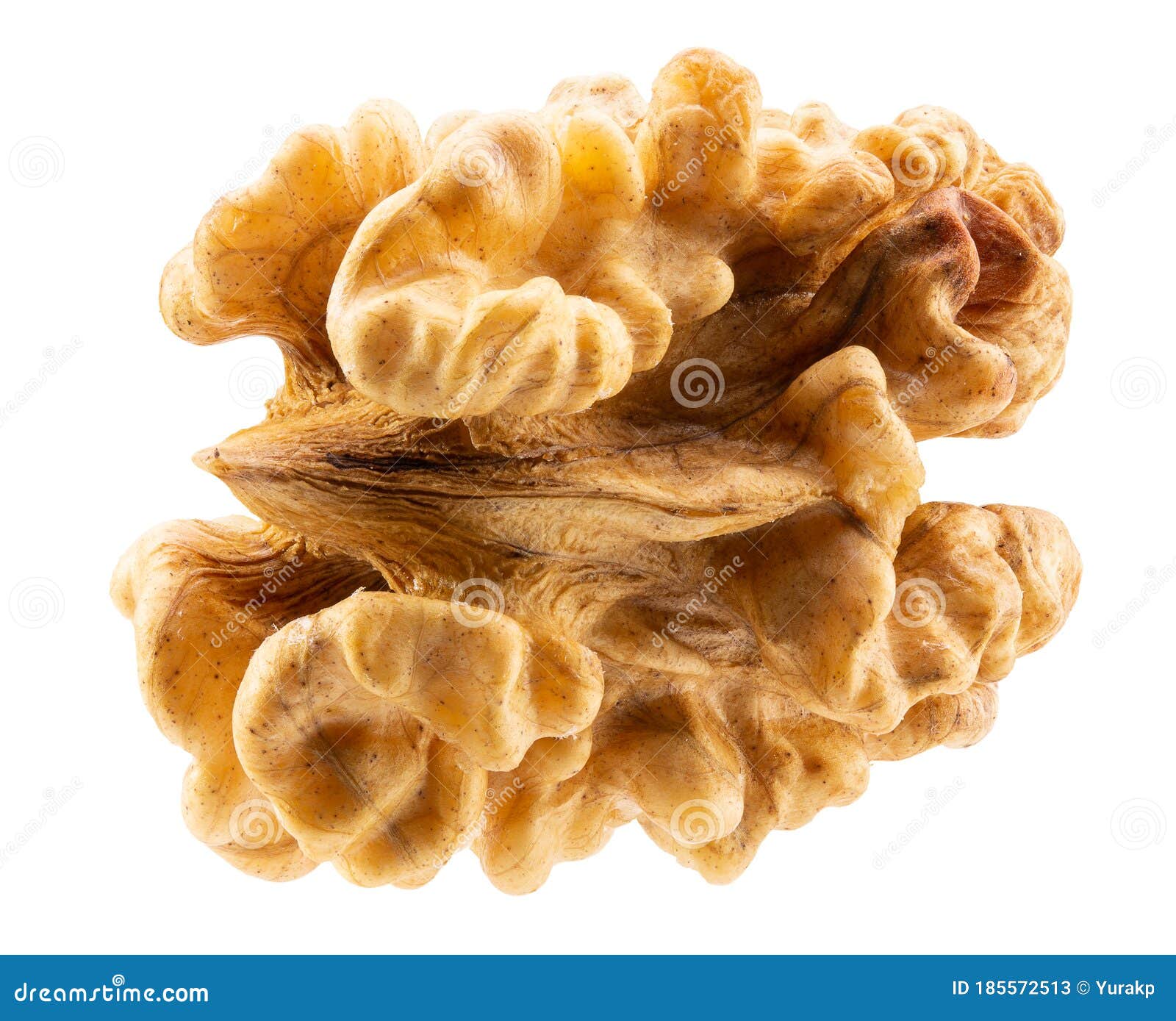 Walnut without Shell Isolated on a White Background Stock Image - Image ...