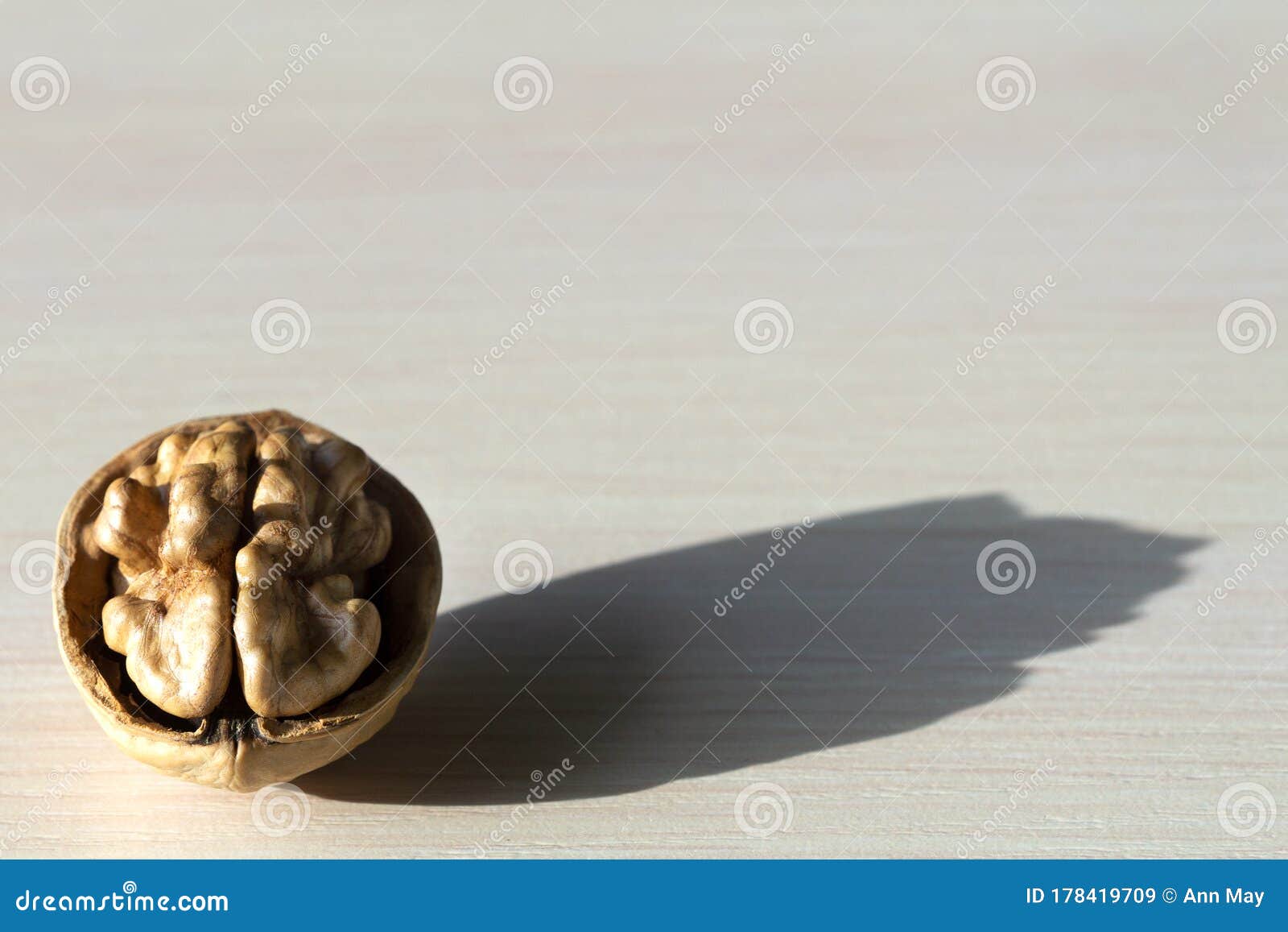 Walnut in the Shell is Like a Brain Stock Image - Image of diet, lunch ...