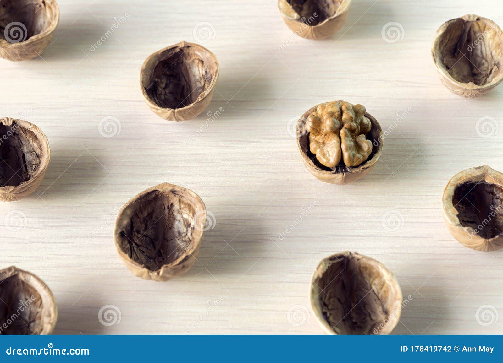Walnut in the Shell is Like a Brain Stock Photo - Image of healthy ...