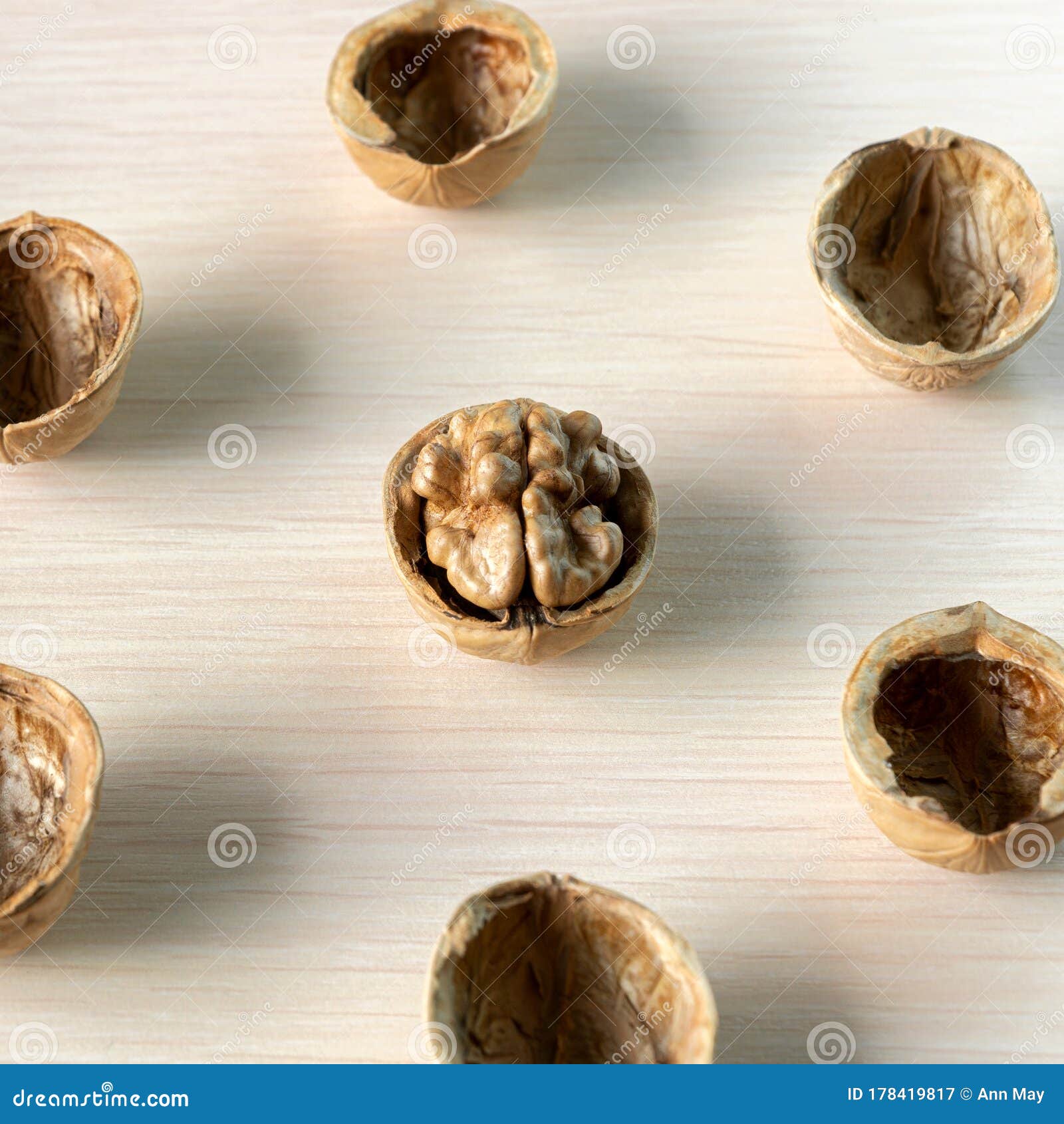 Walnut in the Shell is Like a Brain Stock Image - Image of diet, brain ...