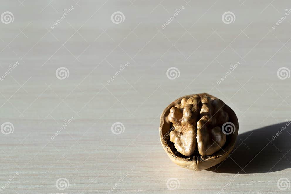 Walnut in the Shell is Like a Brain Stock Photo - Image of monochrome ...