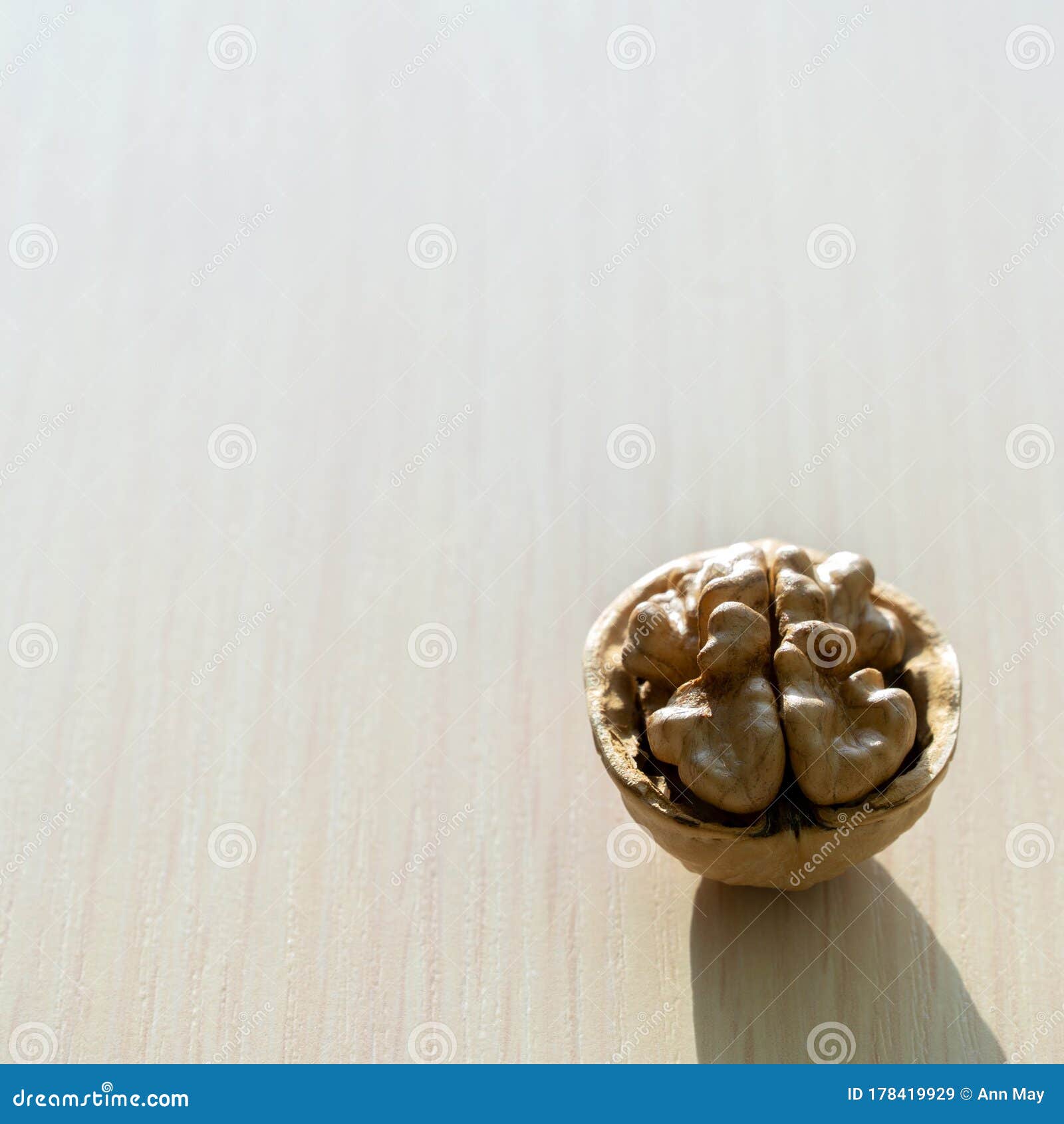 Walnut in the Shell is Like a Brain Stock Image - Image of macro, brown ...