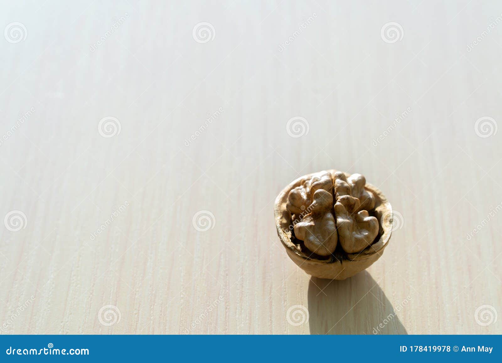 Walnut in the Shell is Like a Brain Stock Photo - Image of breakfast ...