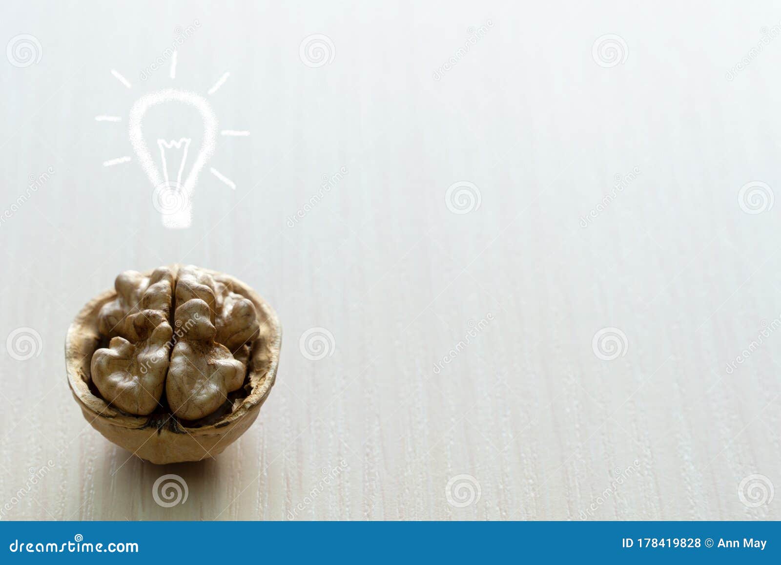 Walnut in the Shell is Like a Brain Stock Photo - Image of brunch ...