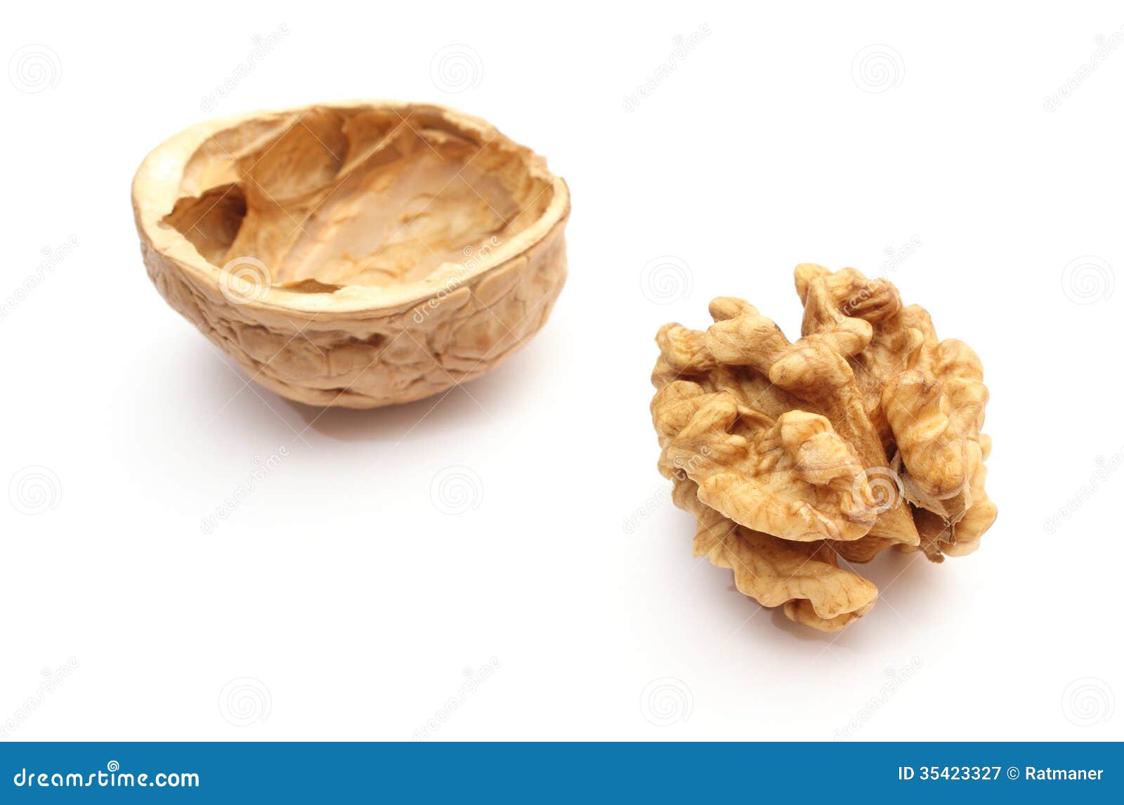 62,359 Nutshell White Stock Photos - Free & Royalty-Free Stock Photos ...