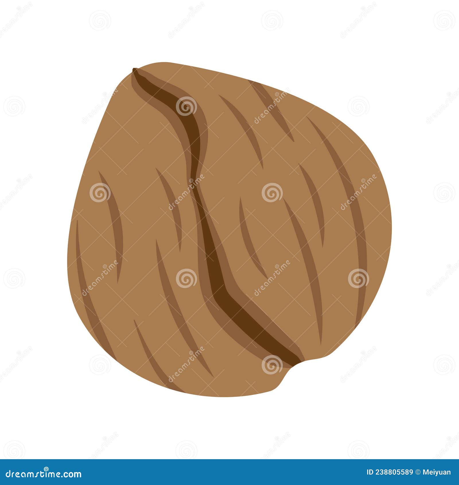 Walnut in Shell Vector Icon. Illustration in Flat Cartoon Style Stock ...