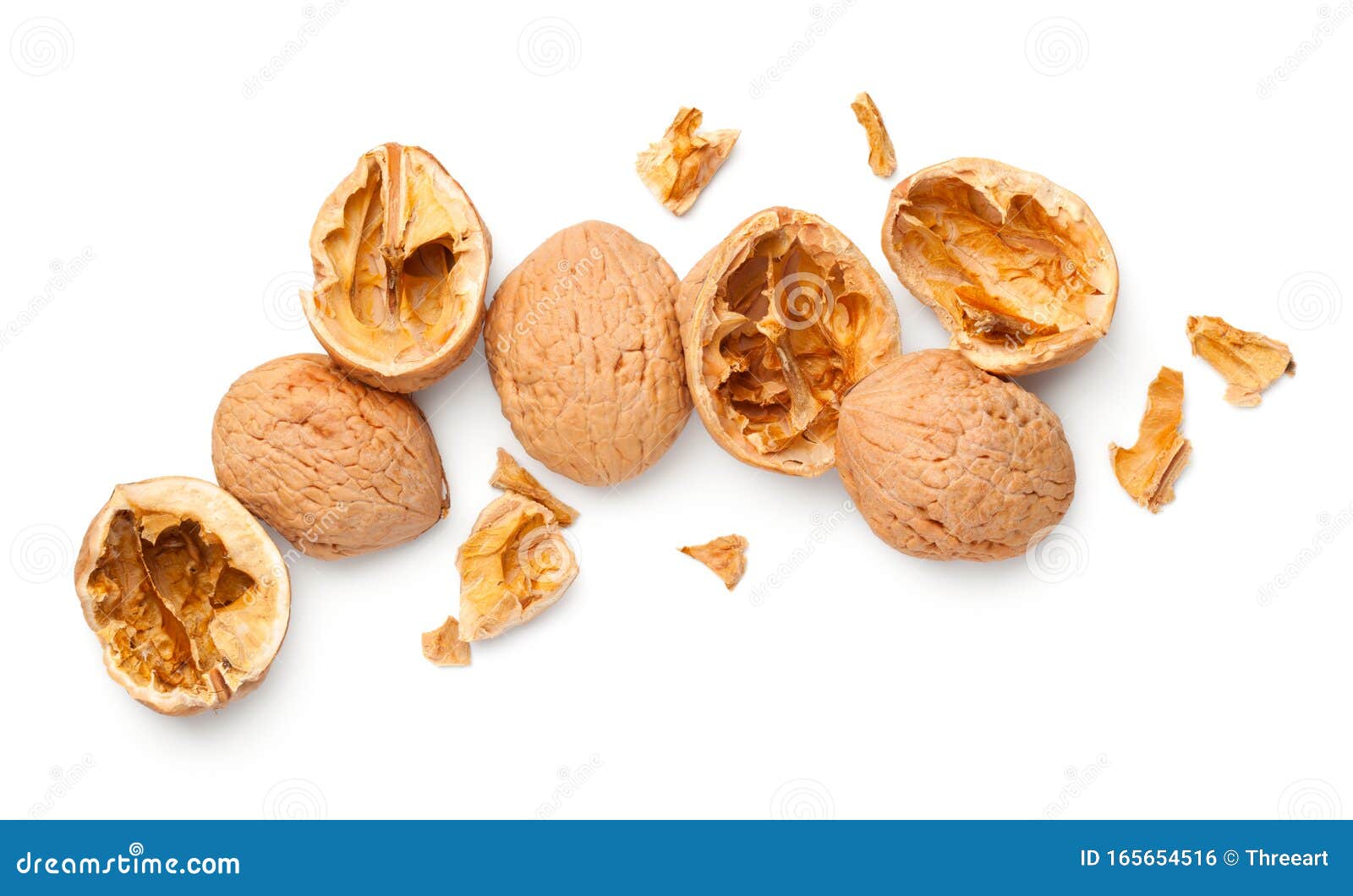 Walnut Shells Isolated on White Background Stock Photo - Image of macro ...