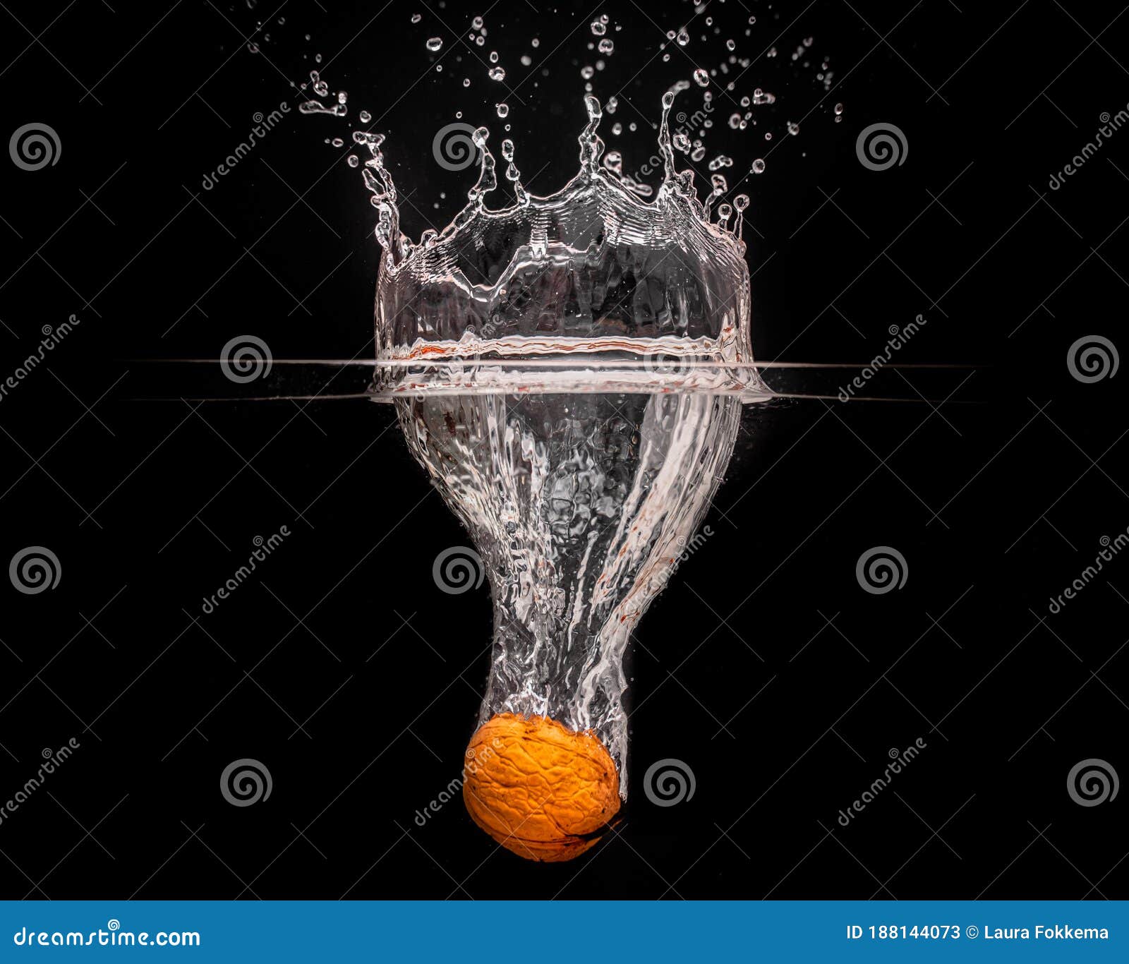 Walnut Splash Photography: on a Black Background Stock Image - Image of ...
